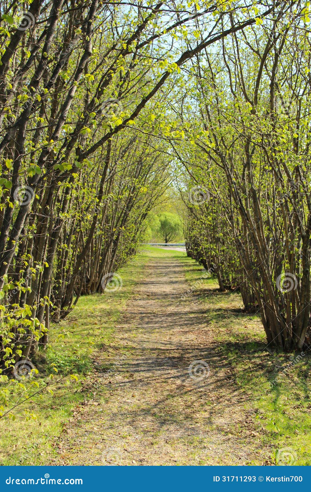 6,941 Hazel Spring Stock Photos - Free & Royalty-Free Stock Photos from ...