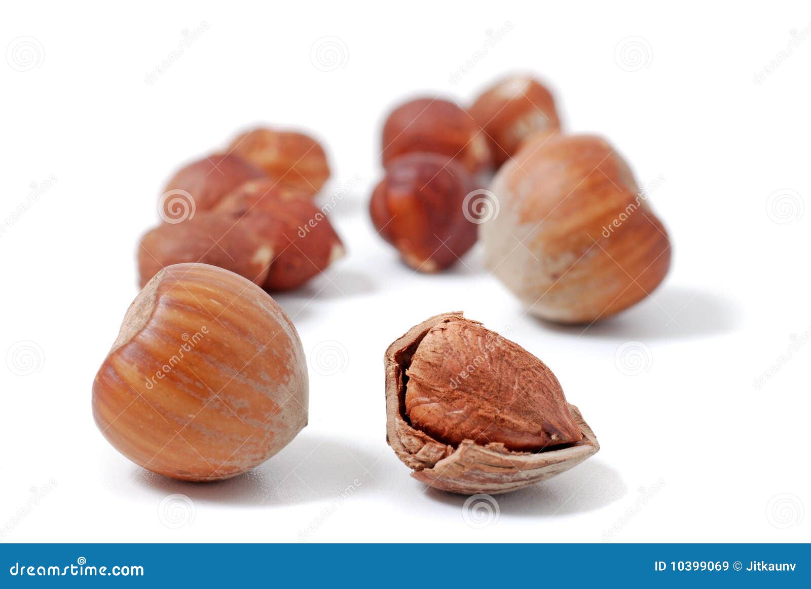 Hazelnoot stock afbeelding. Image of hazelaar, variatie - 10399069