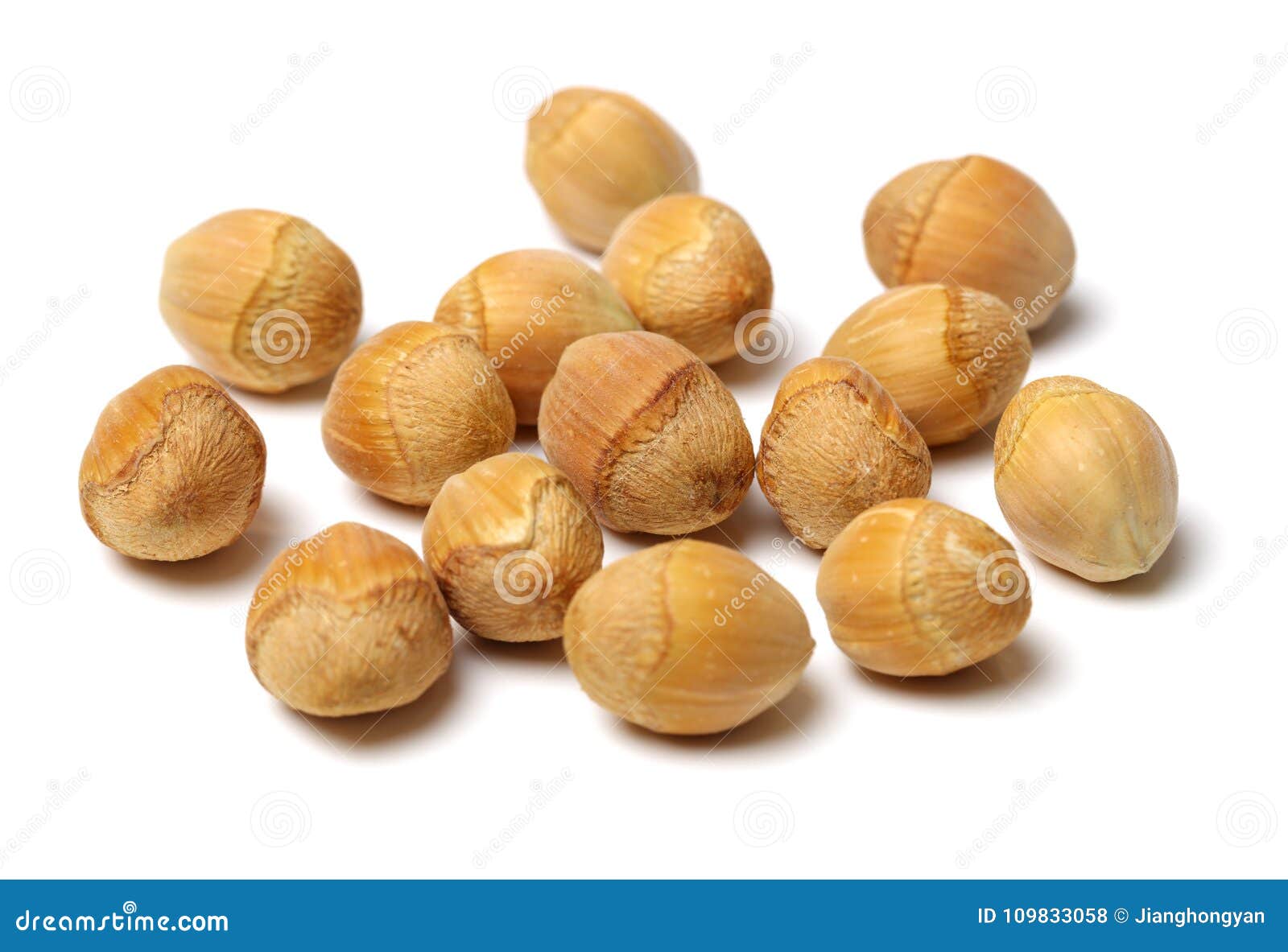 Hazelnoot stock foto. Image of australisch, kastanjes - 109833058