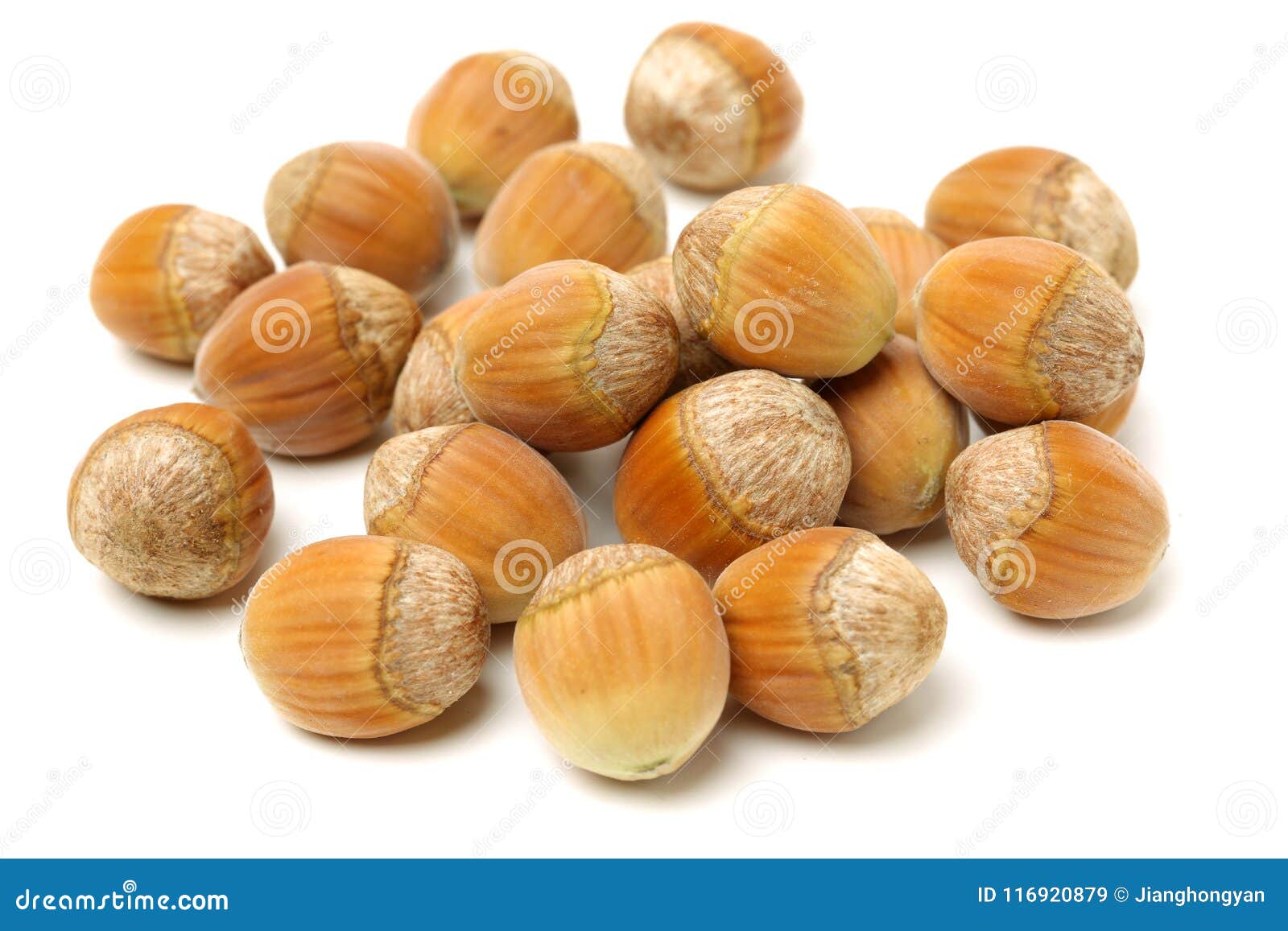 Hazelnoot stock afbeelding. Image of bruin, geïsoleerd - 116920879