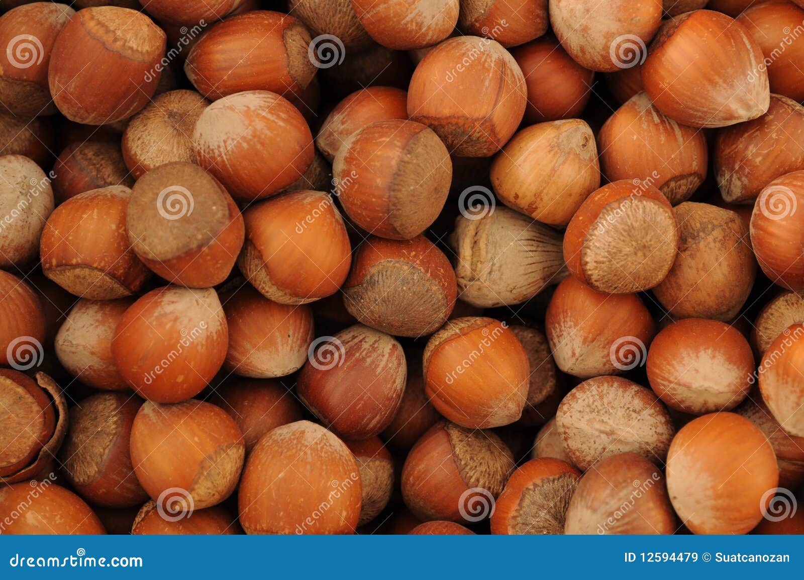 Hazelnoot stock afbeelding. Image of ingrediënt, moeilijk - 12594479