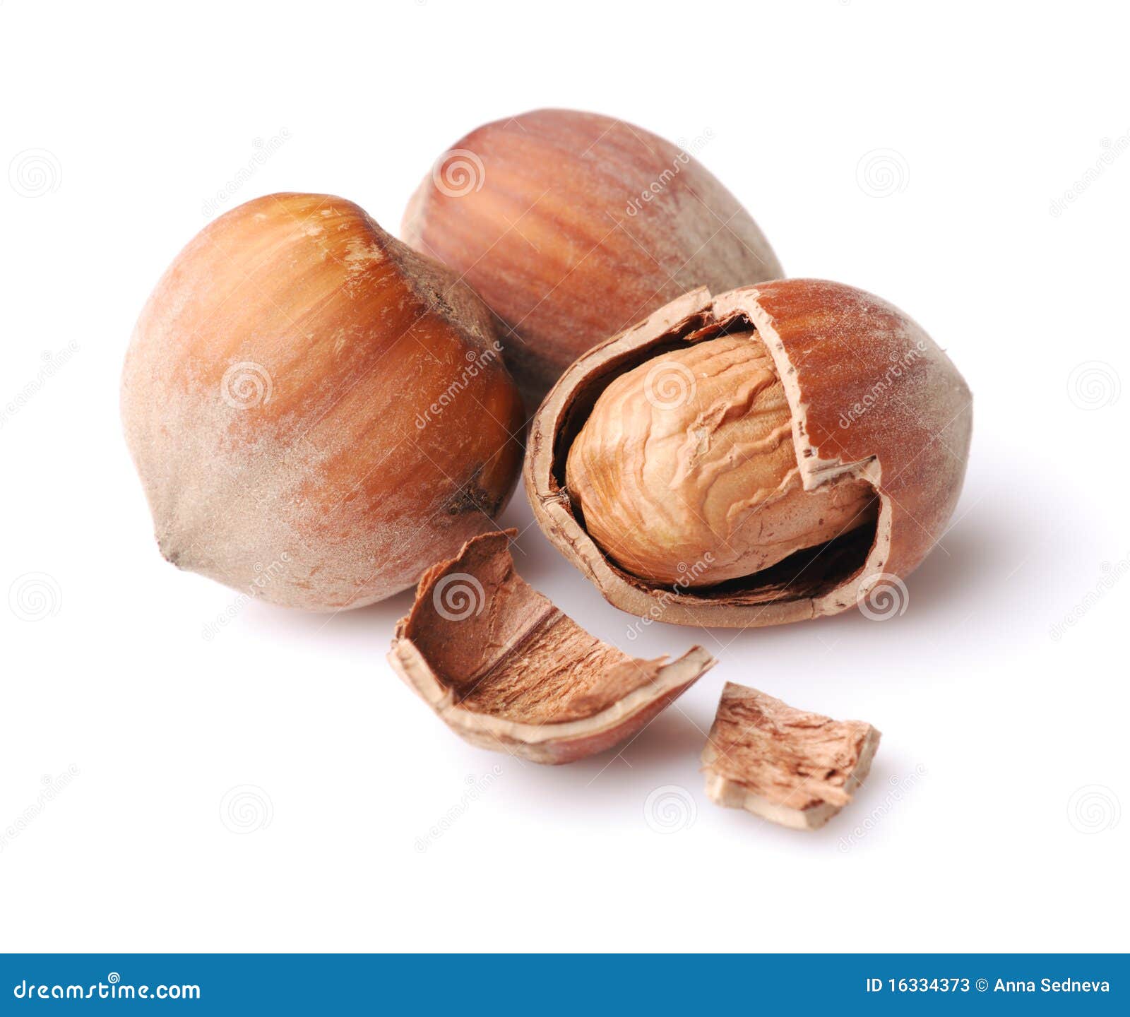 Hazelnoot stock afbeelding. Image of beschadigd, gebroken - 16334373