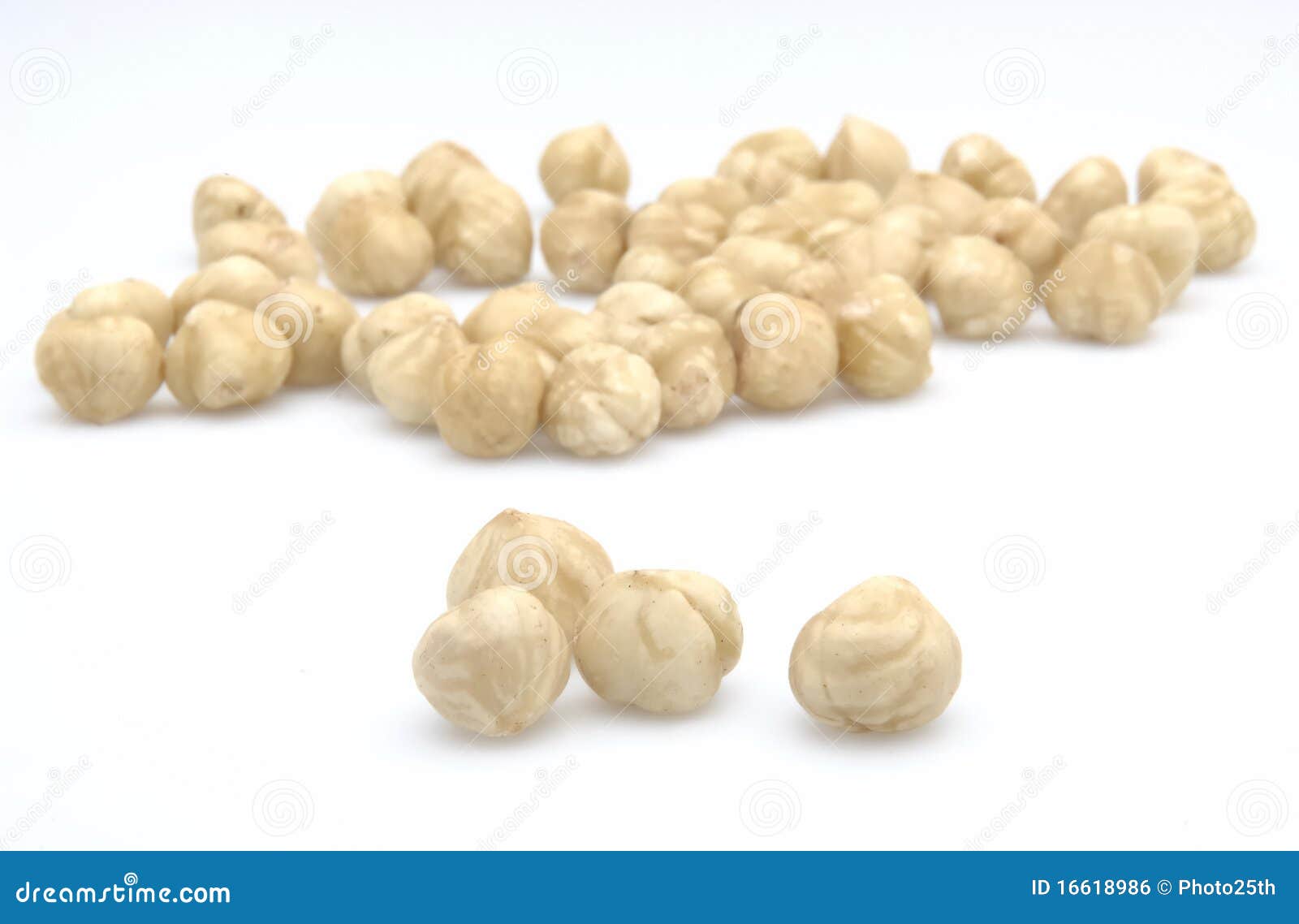 Hazelnoot stock foto. Image of voedsel, boom, voorgerecht - 16618986