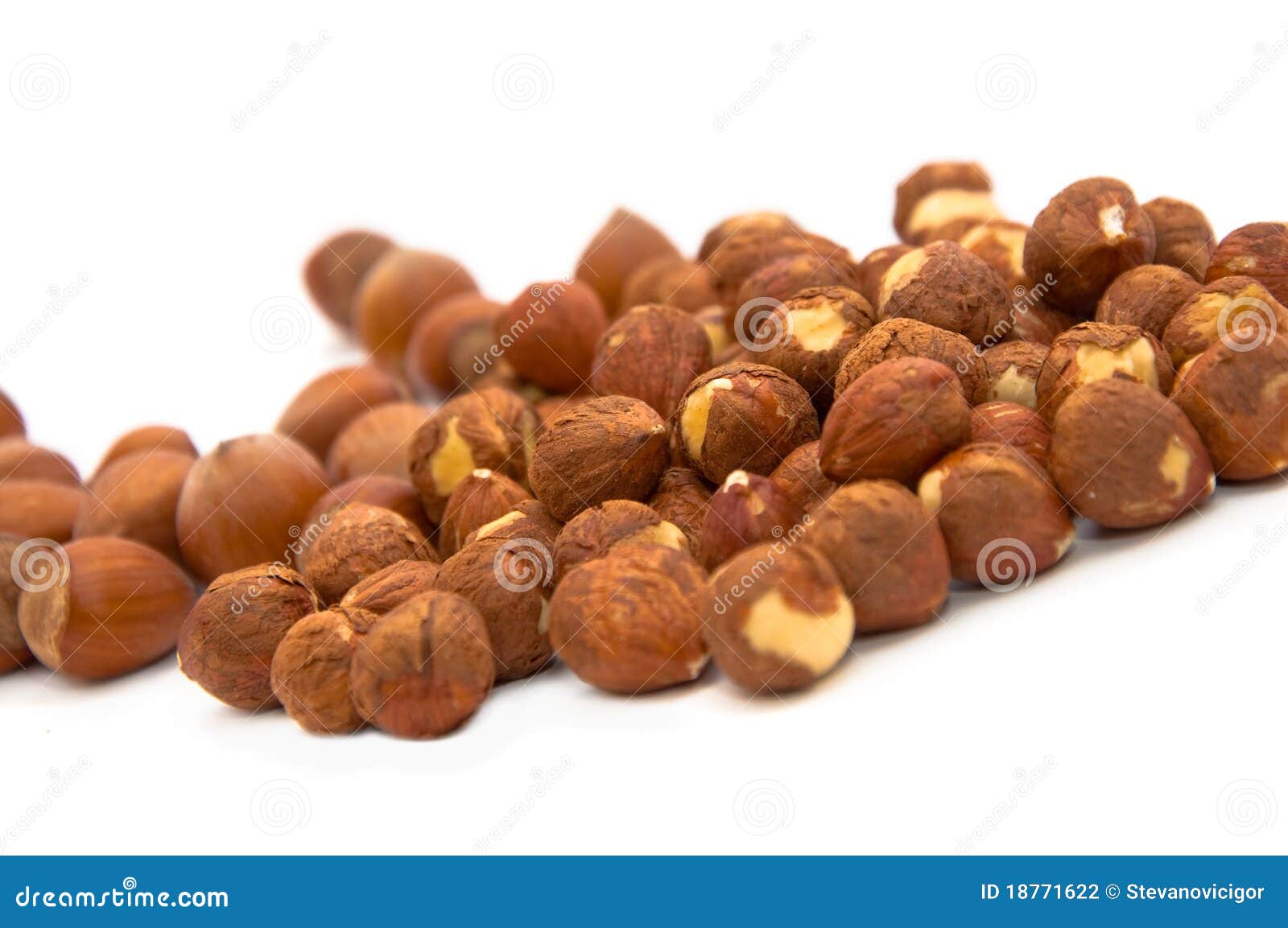 Hazelnoot stock foto. Image of noot, naughty, vitamine - 18771622