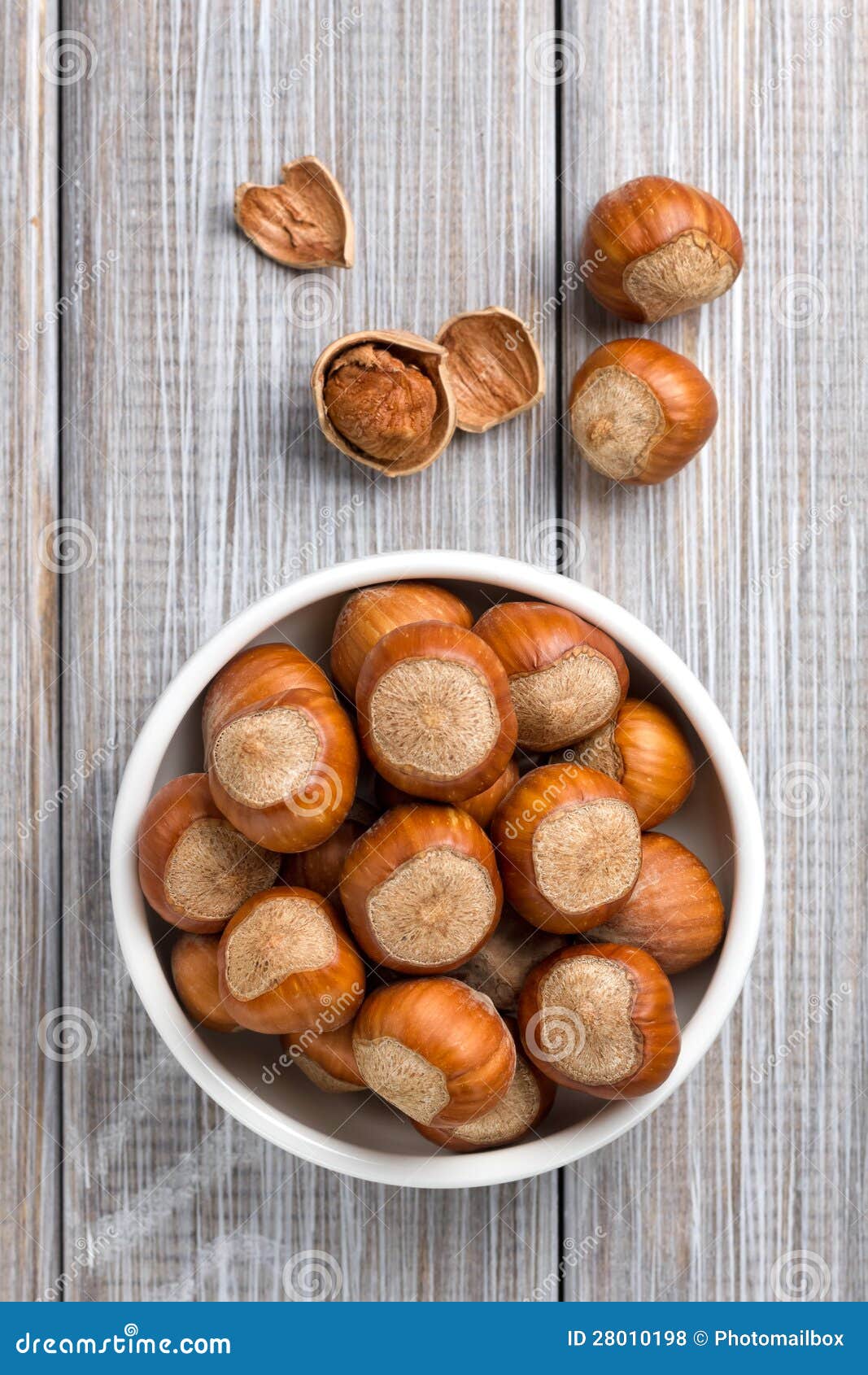 Hazelnoot stock foto. Image of dieet, vers, gebarsten - 28010198