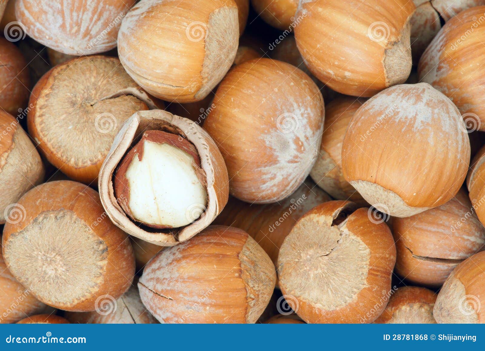 Hazelnoot Stockfoto's - Download 89,155 Royalty Free Photos