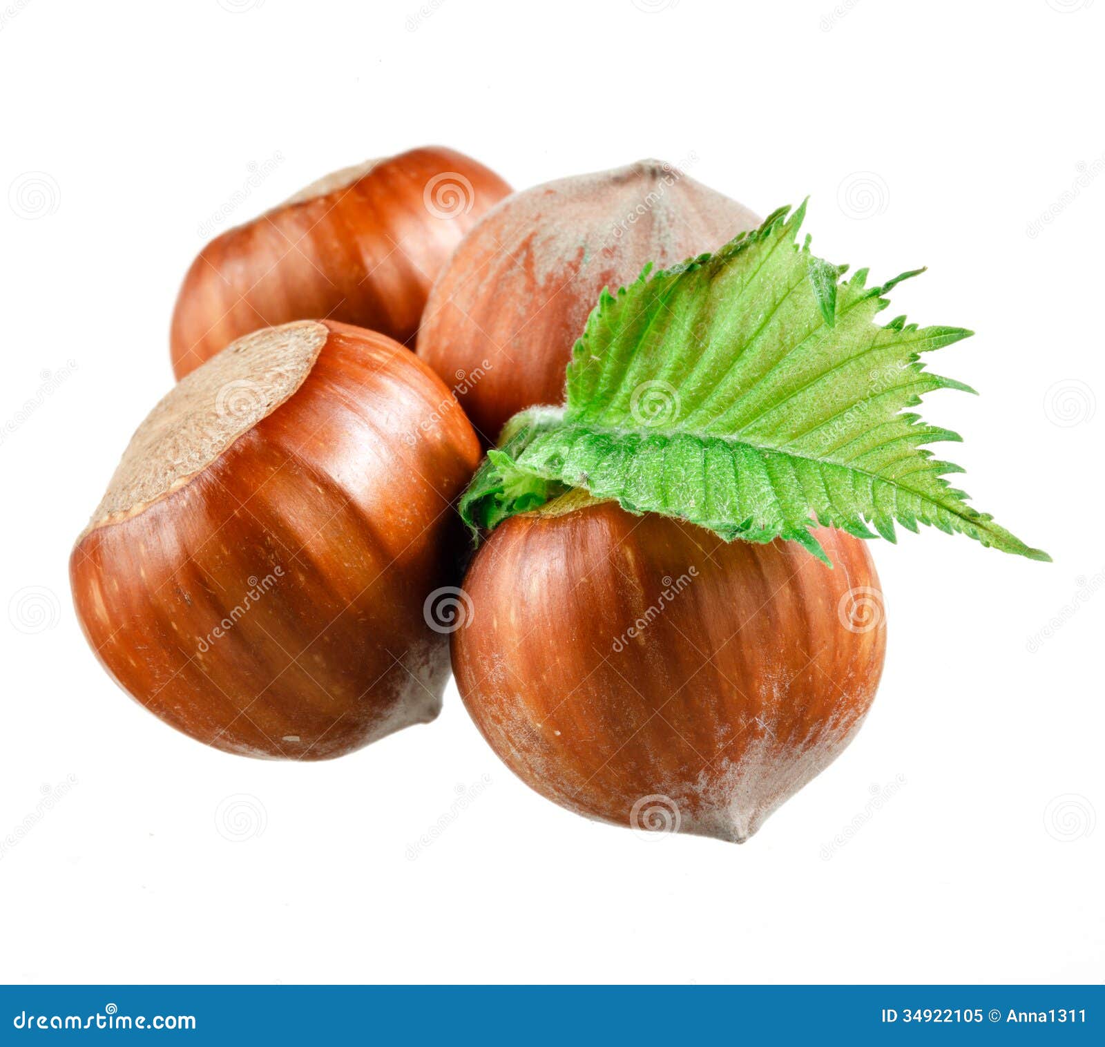 Hazelnoot stock afbeelding. Image of zaad, ingrediënt - 34922105