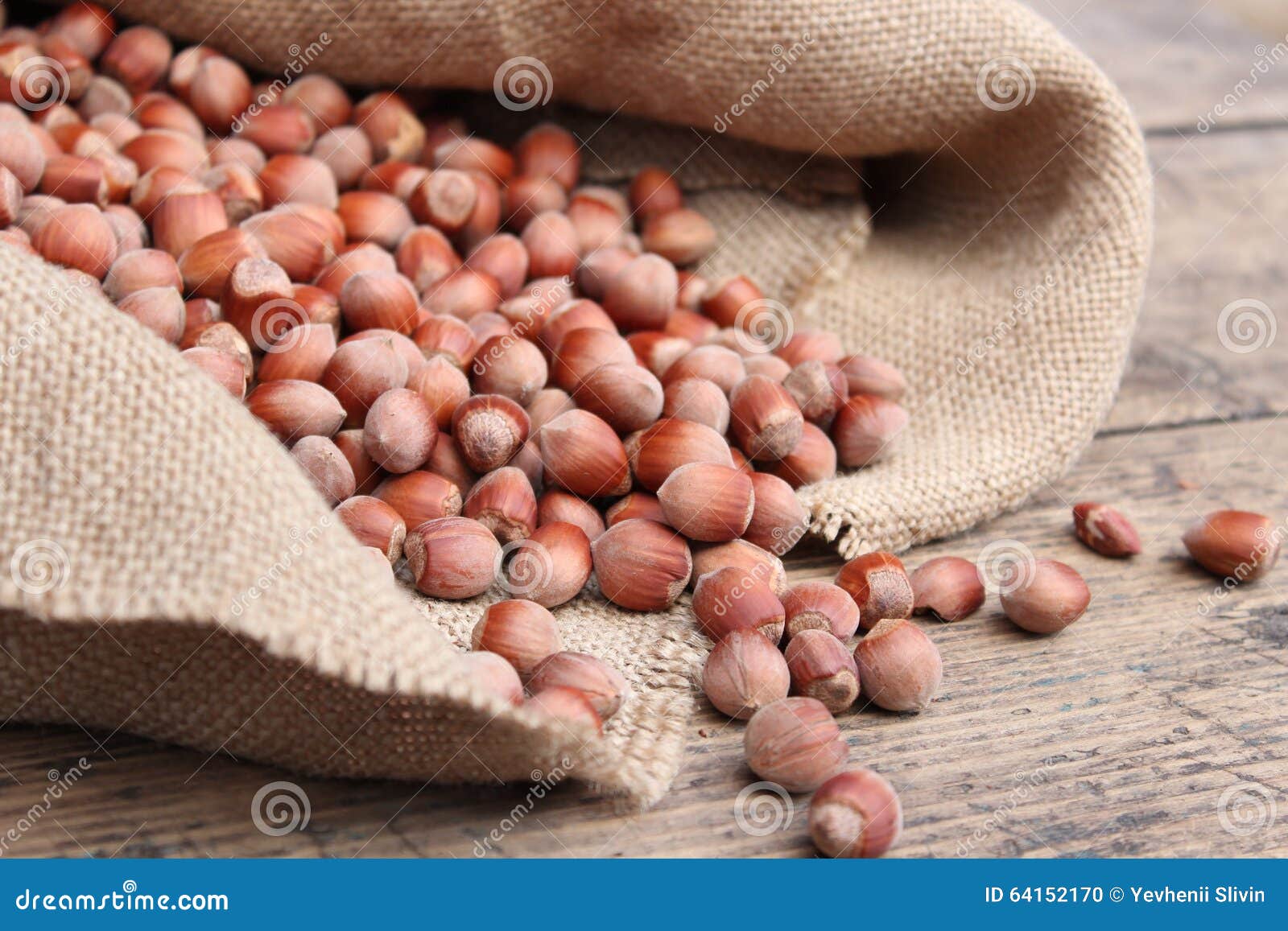 Hazelnoot stock foto. Image of bruin, nave, ingrediënt - 64152170