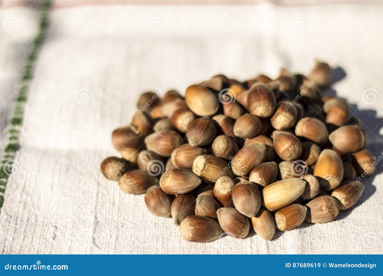 Hazelnoot Op Een Rustiek Materiaal Stock Afbeelding - Image of bijtend ...