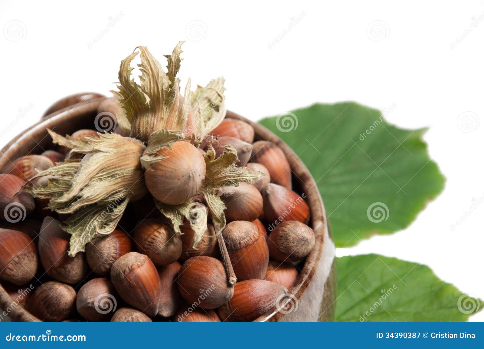 Hazelnoot op wit stock afbeelding. Image of studio, vrucht - 34390387