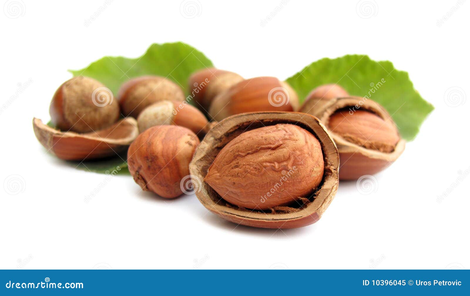 Hazelnoten stock afbeelding. Image of achtergrond, noten - 10396045