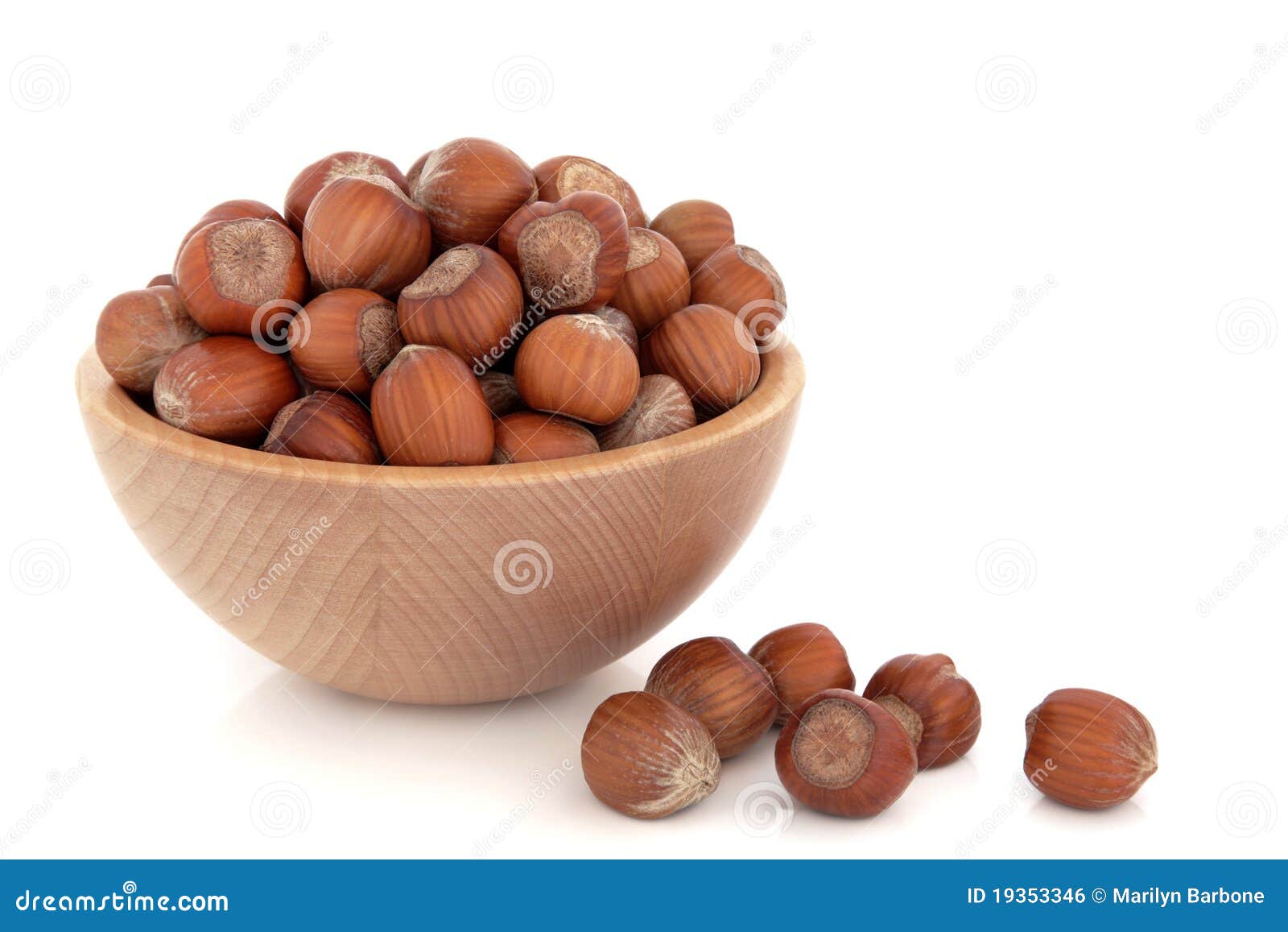 Hazelnoten stock foto. Image of voedsel, beuk, achtergrond - 19353346