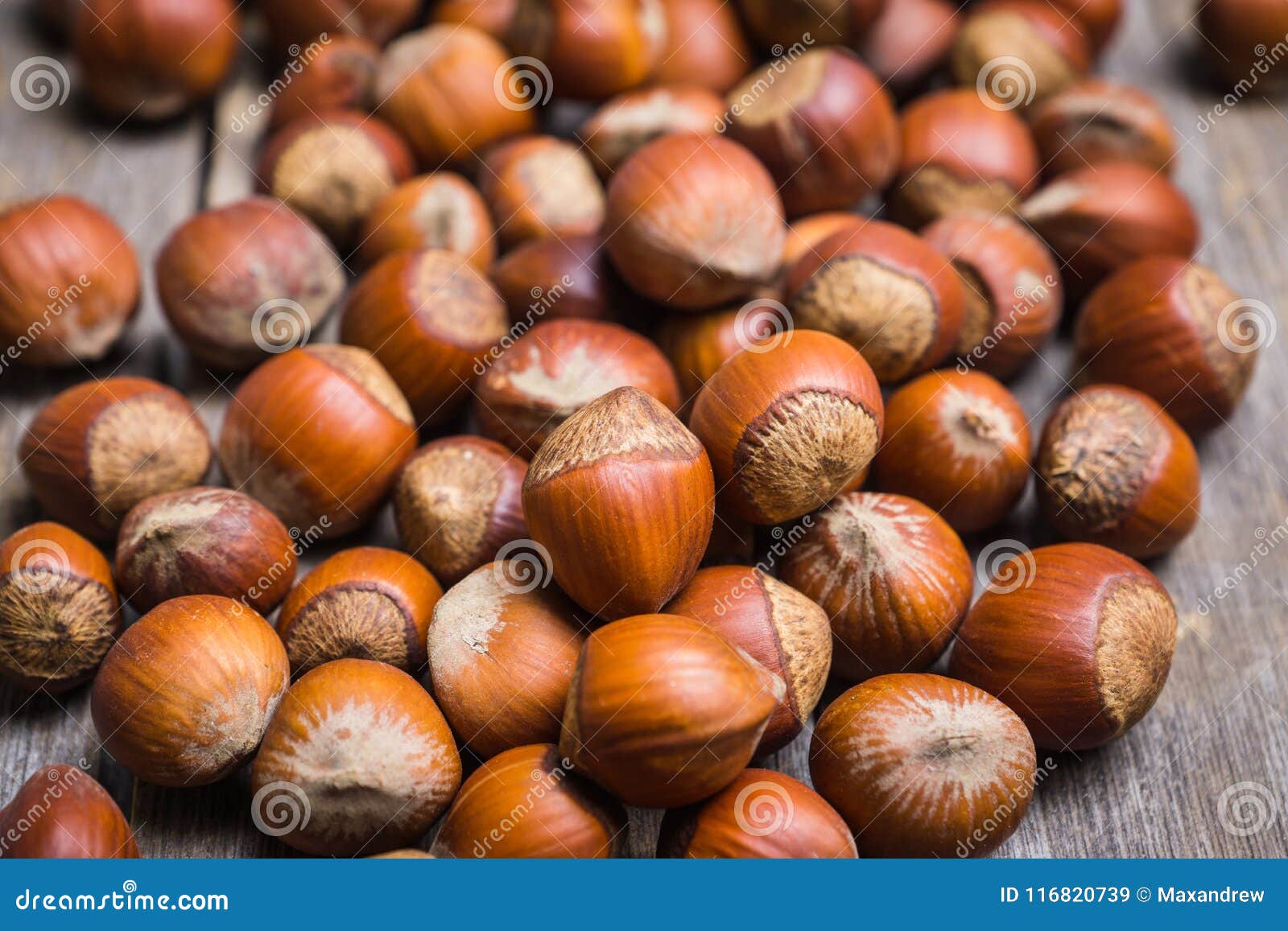 Hazelnoten in Shell Op De Rustieke Achtergrond Stock Afbeelding - Image ...