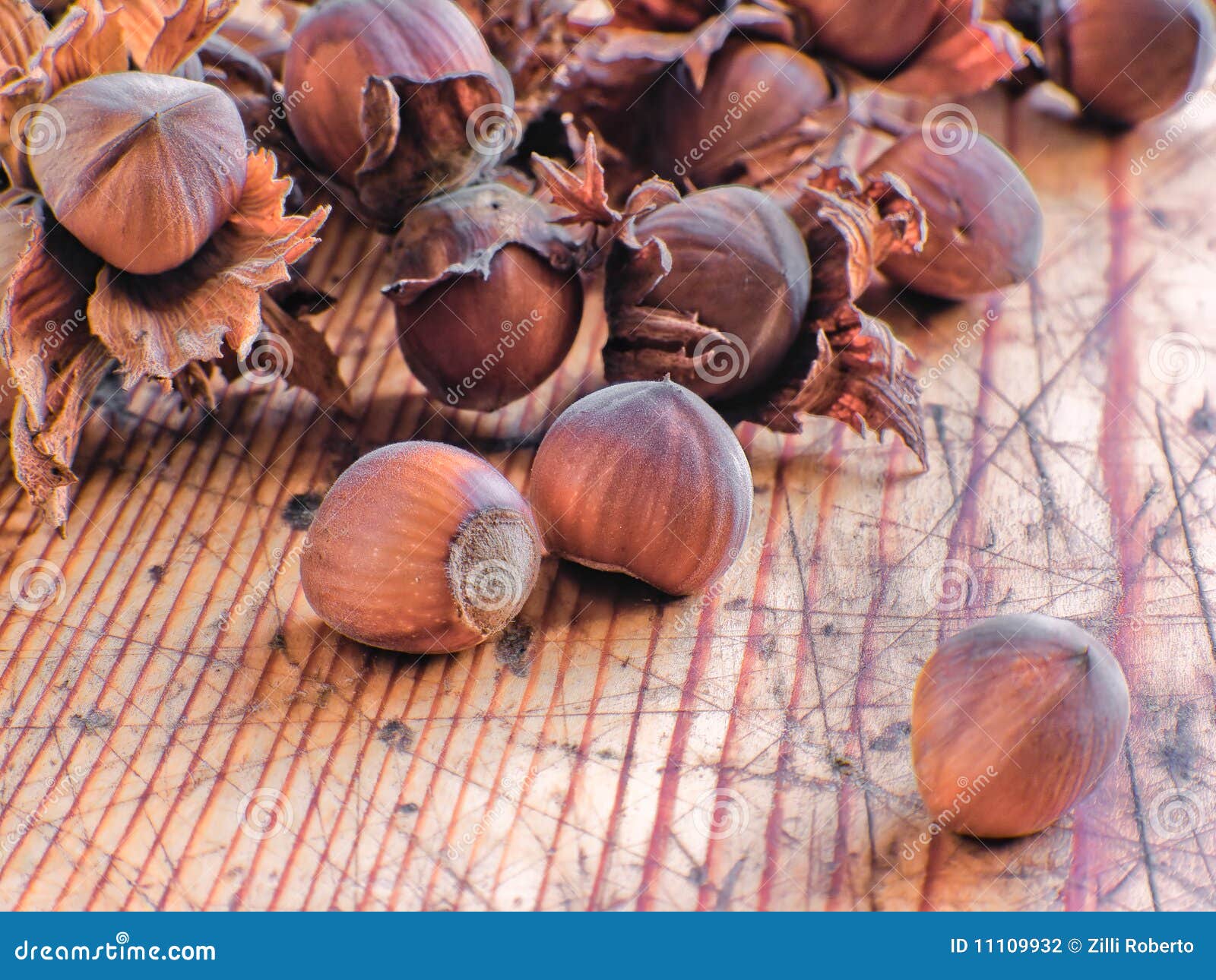 Hazelnut stock photo. Image of nutshell, fruit, hazel - 11109932