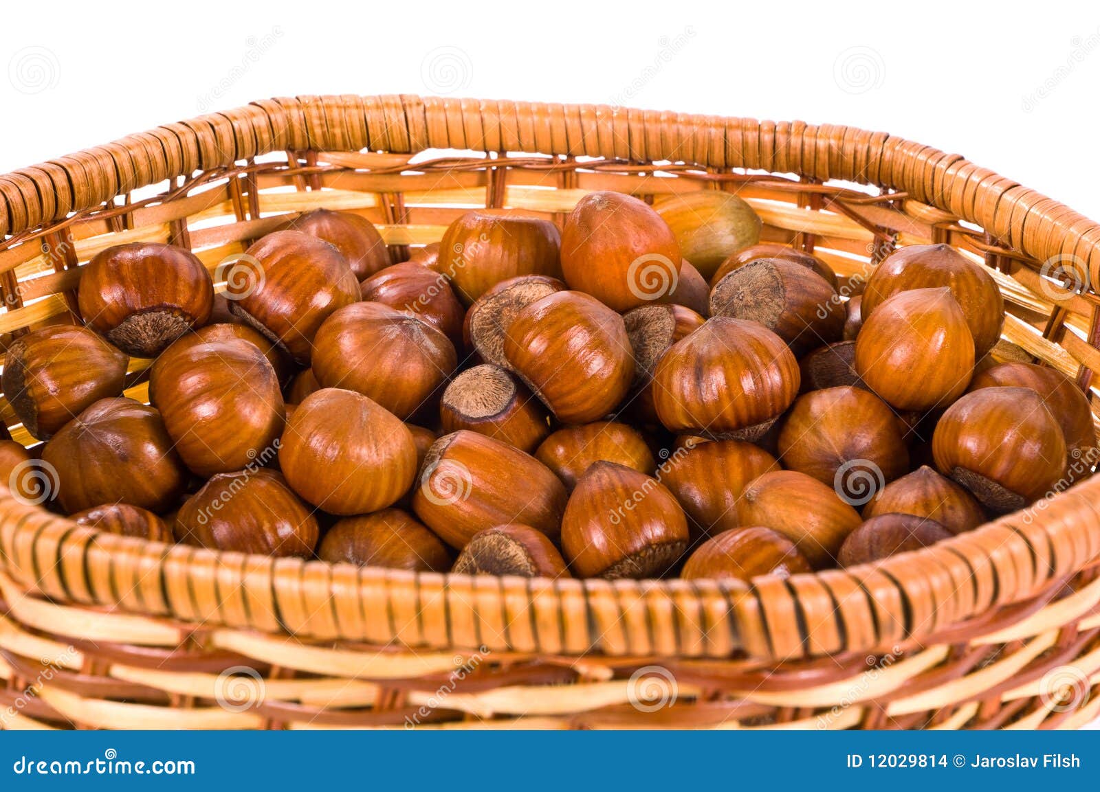 Hazelnut stock photo. Image of healthcare, kernel, hazel - 12029814