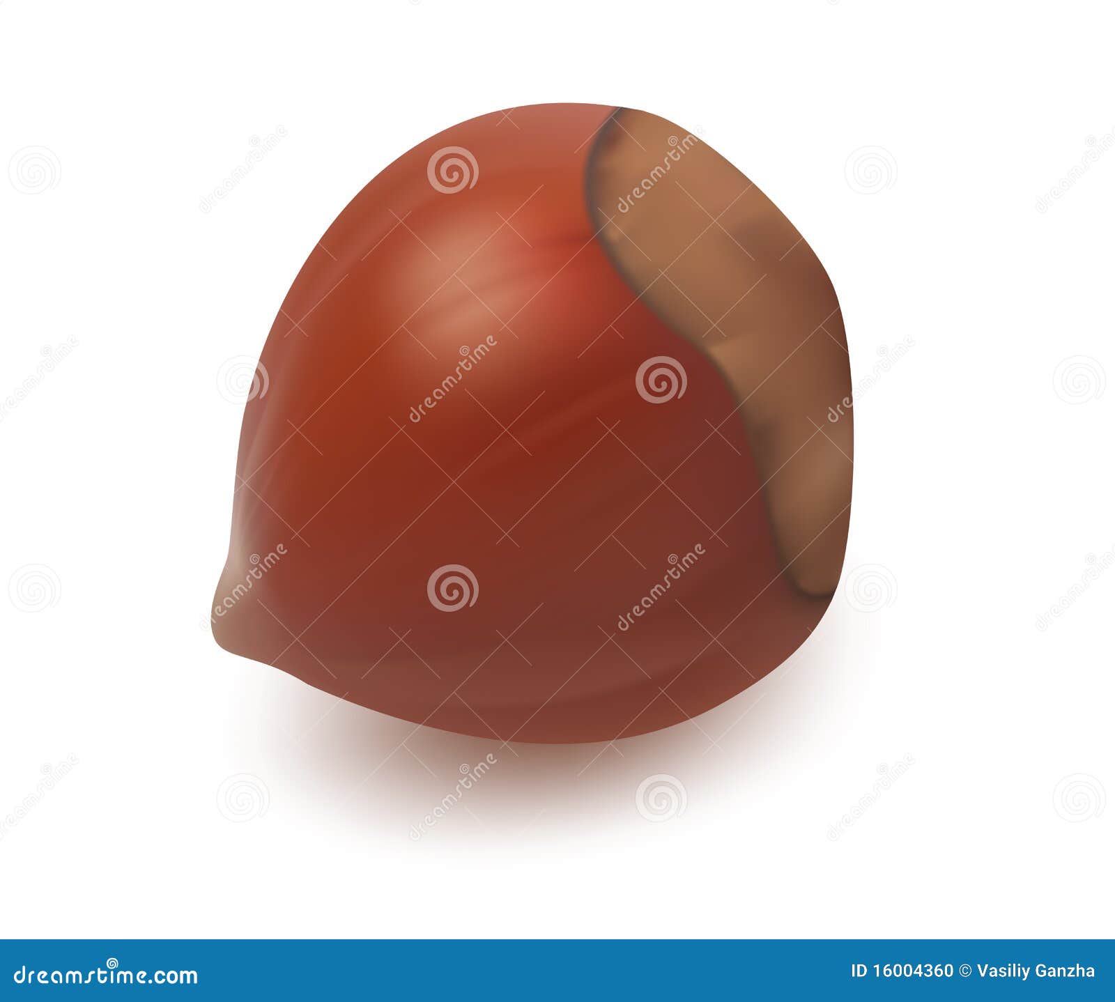 Hazelnut Cartoons, Illustrations & Vector Stock Images - 10678 Pictures ...