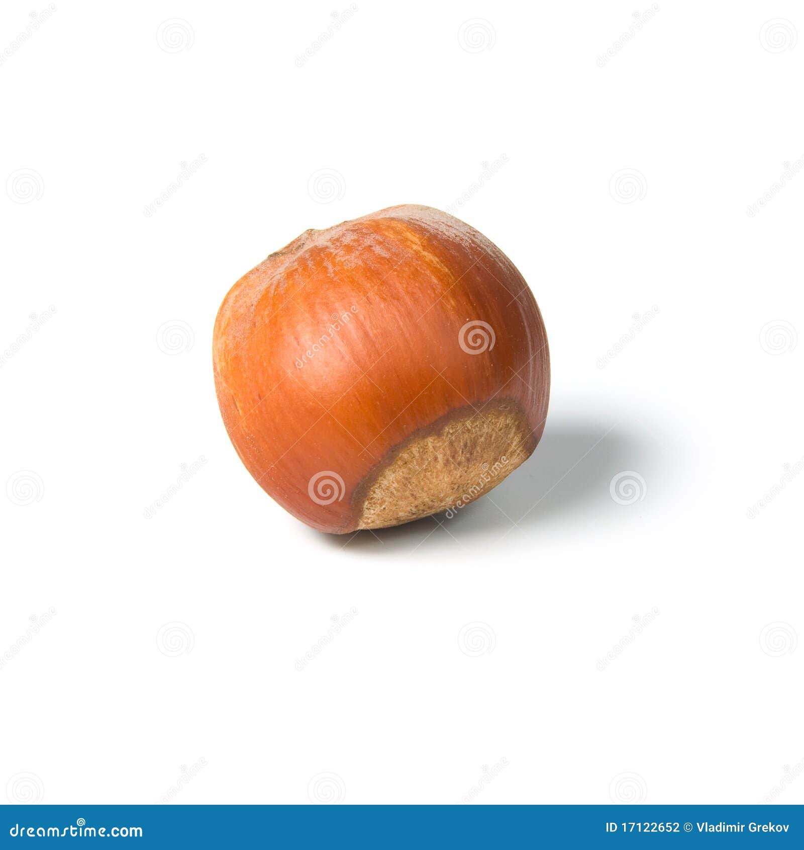 1,306 Single Hazelnut Isolated White Photos - Free & Royalty-Free Stock ...