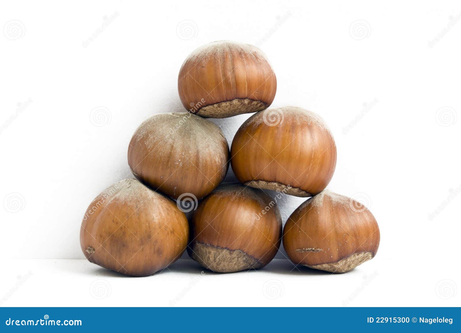 Hazelnut stock photo. Image of nuts, triangle, healthy - 22915300
