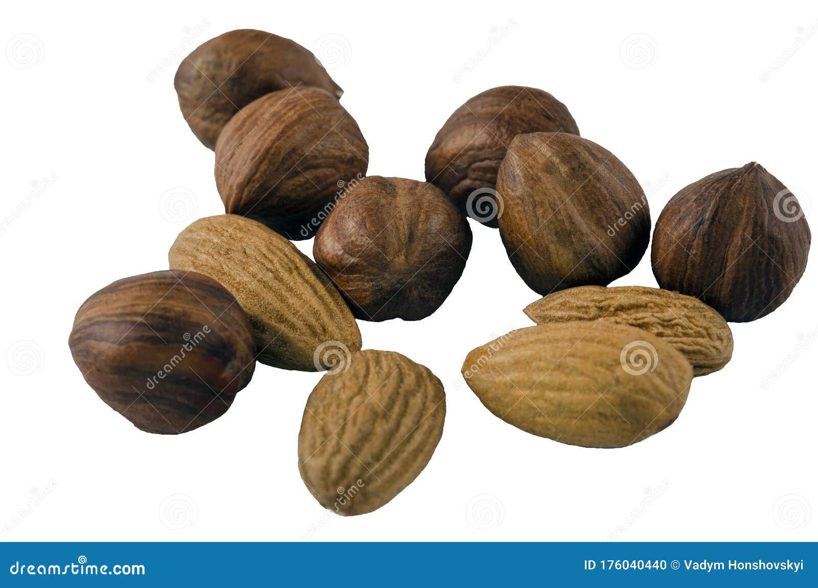 Hazelnut and Almond Nuts on a White Background Stock Photo - Image of ...