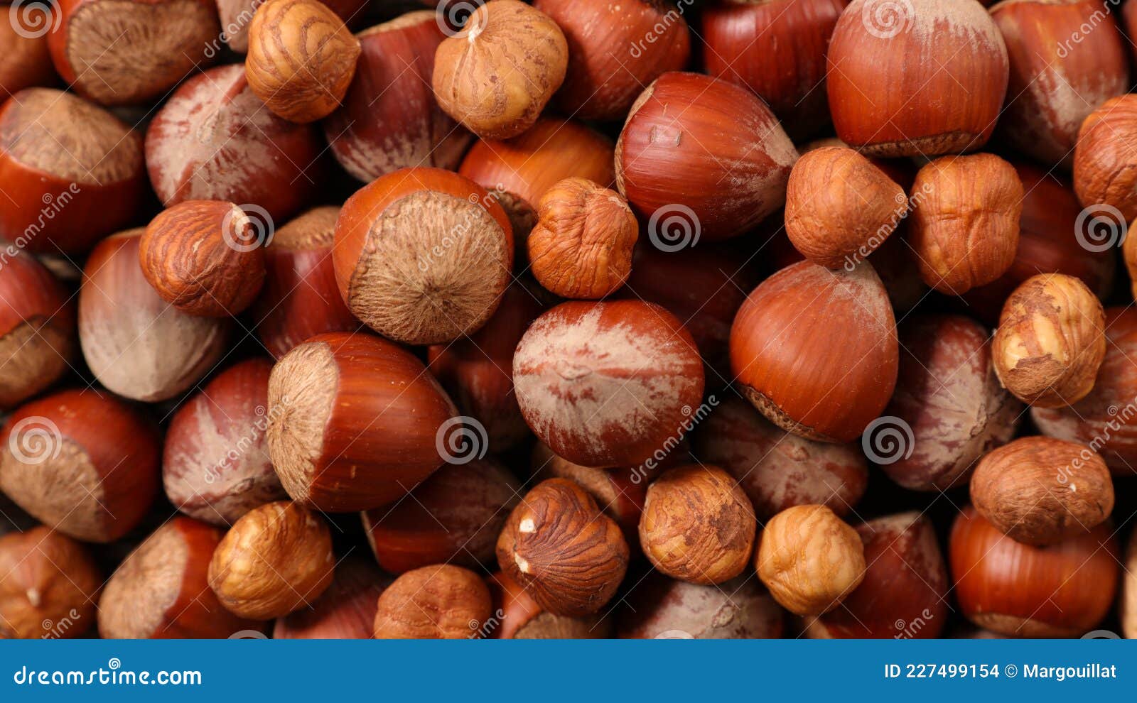 Hazelnut Background Stock Photo | CartoonDealer.com #173160600