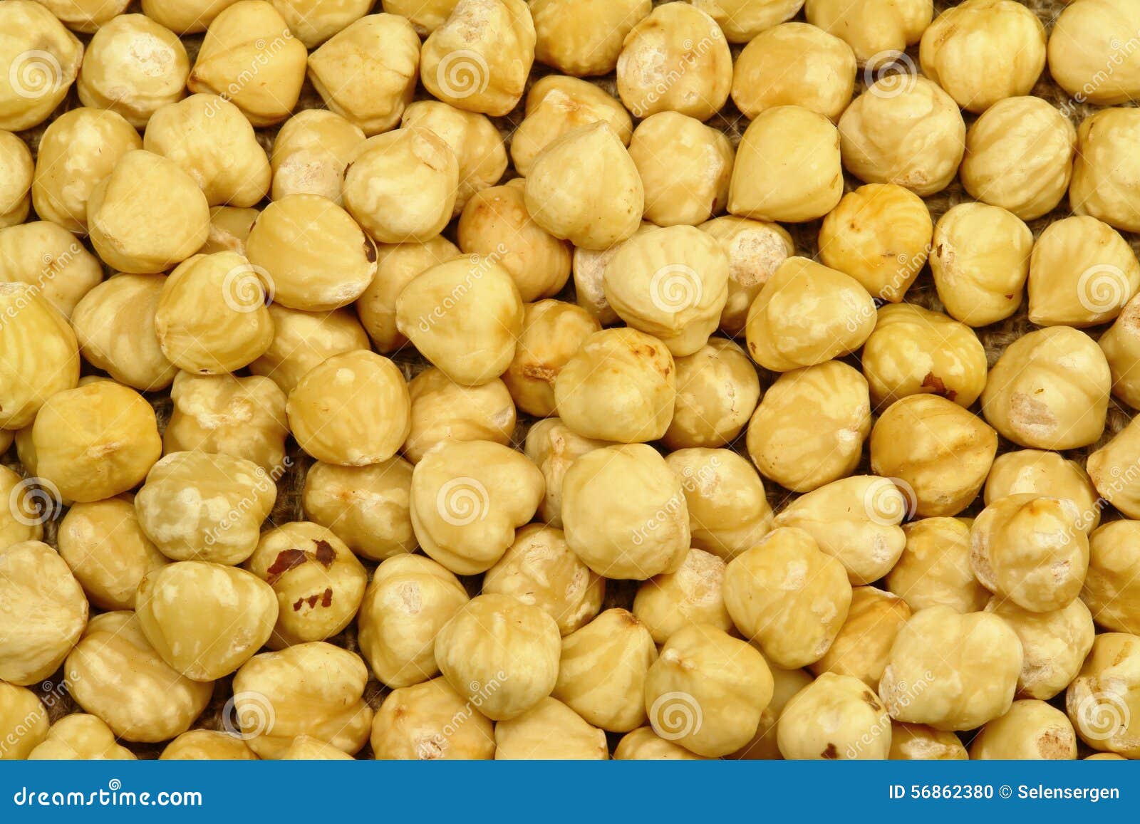 Hazelnut Background stock photo. Image of macro, ingredient - 56862380