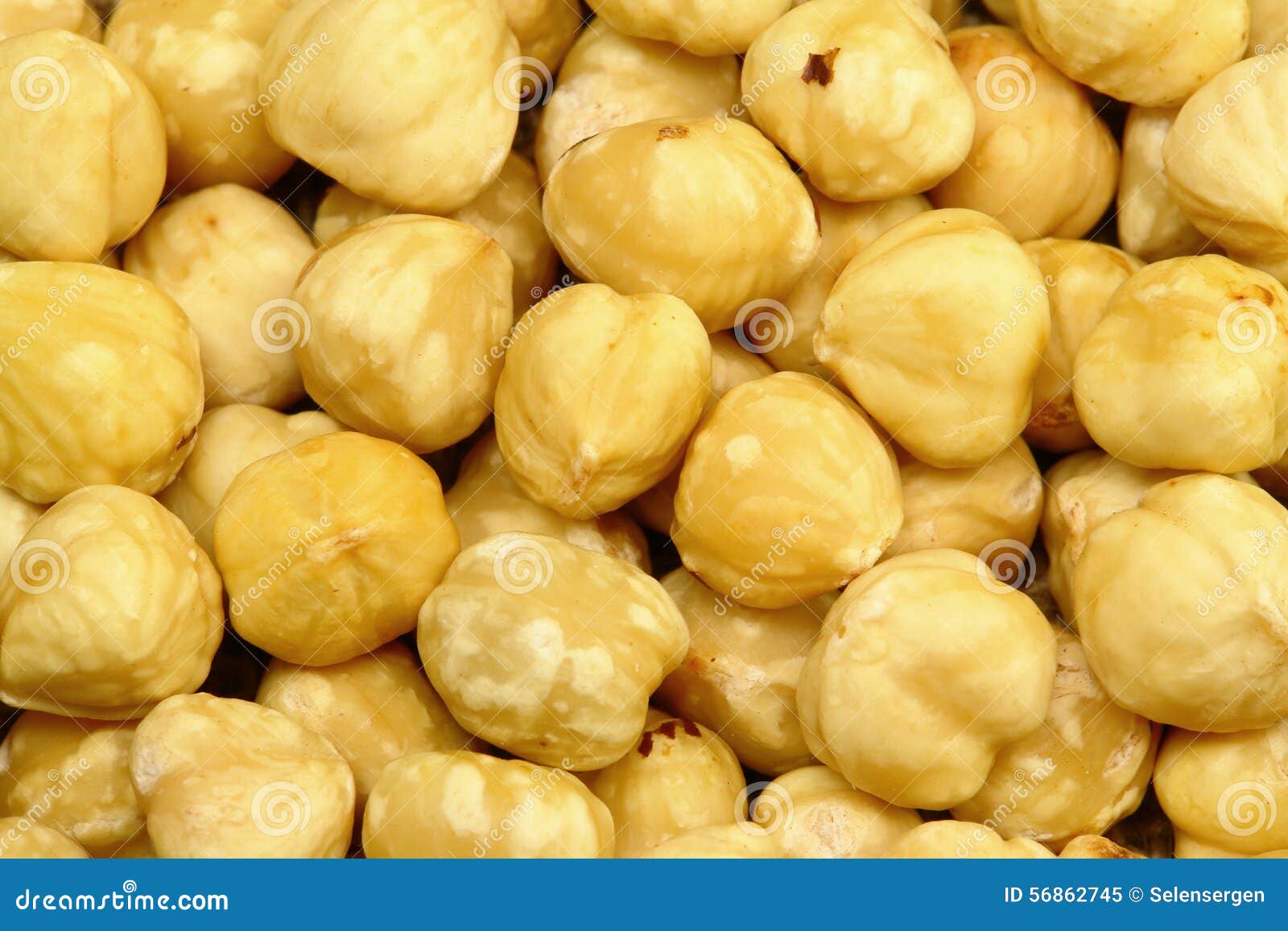 Hazelnut Background stock image. Image of agriculture - 56862745