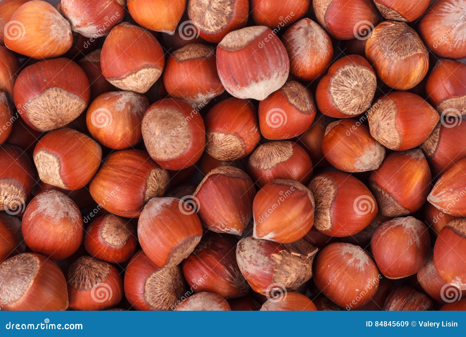 Hazelnut background stock image. Image of healthy, appetizers - 84845609