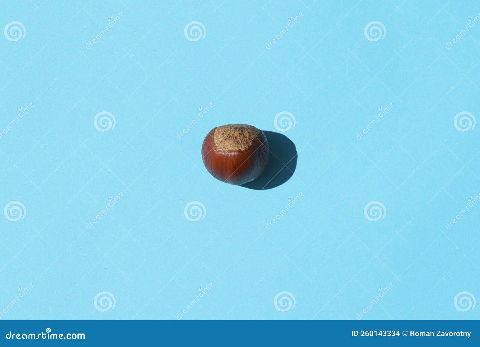 Hazelnut on a Blue Background with a Hard Shadow Stock Photo - Image of ...