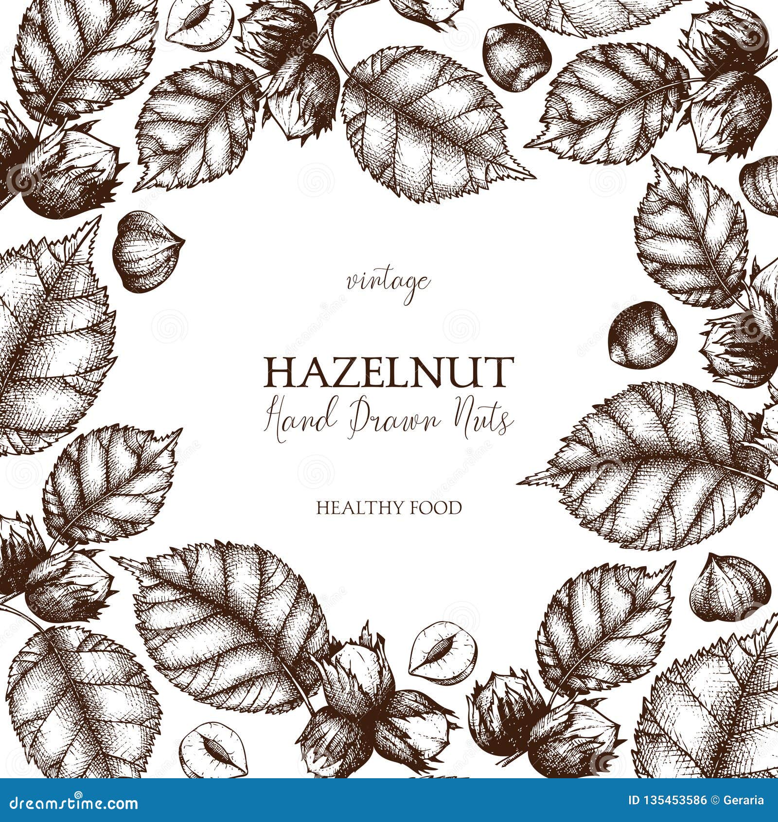 Hazelnut Vector Simple Color Cartoon Illustration | CartoonDealer.com ...