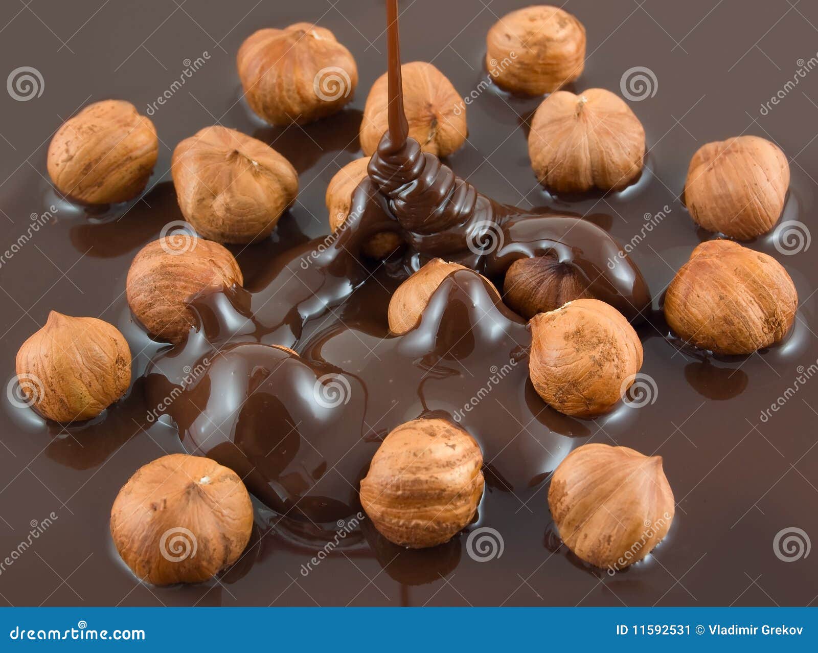Hazelnut chocolate stock image. Image of snack, temptation - 11592531