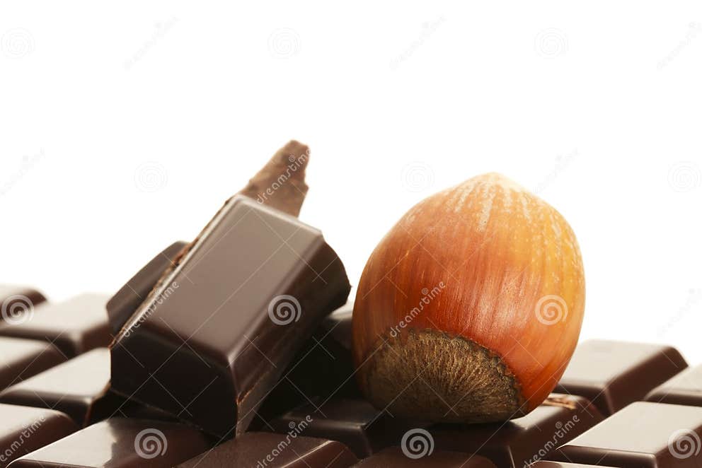 Hazelnut and Chocolate on a Chocolate Bar Stock Photo - Image of nuts ...