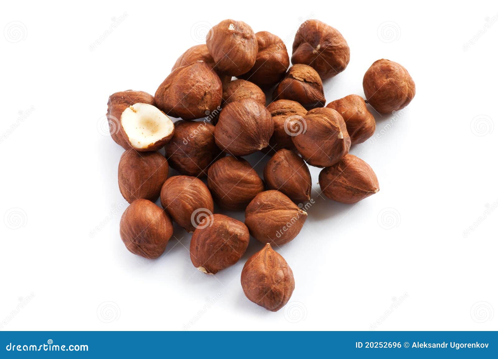 Hazelnut close up stock photo. Image of pattern, dried - 20252696