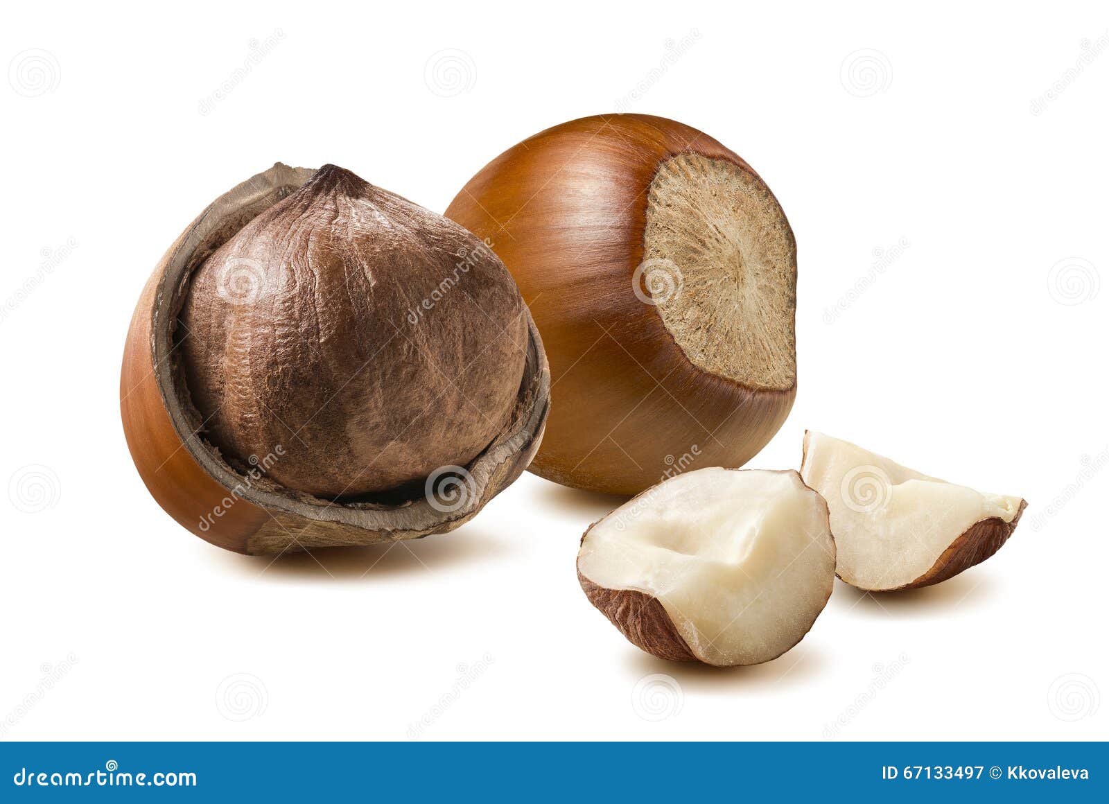 Hazelnut Composition Pieces Isolated on White Background Stock Image ...