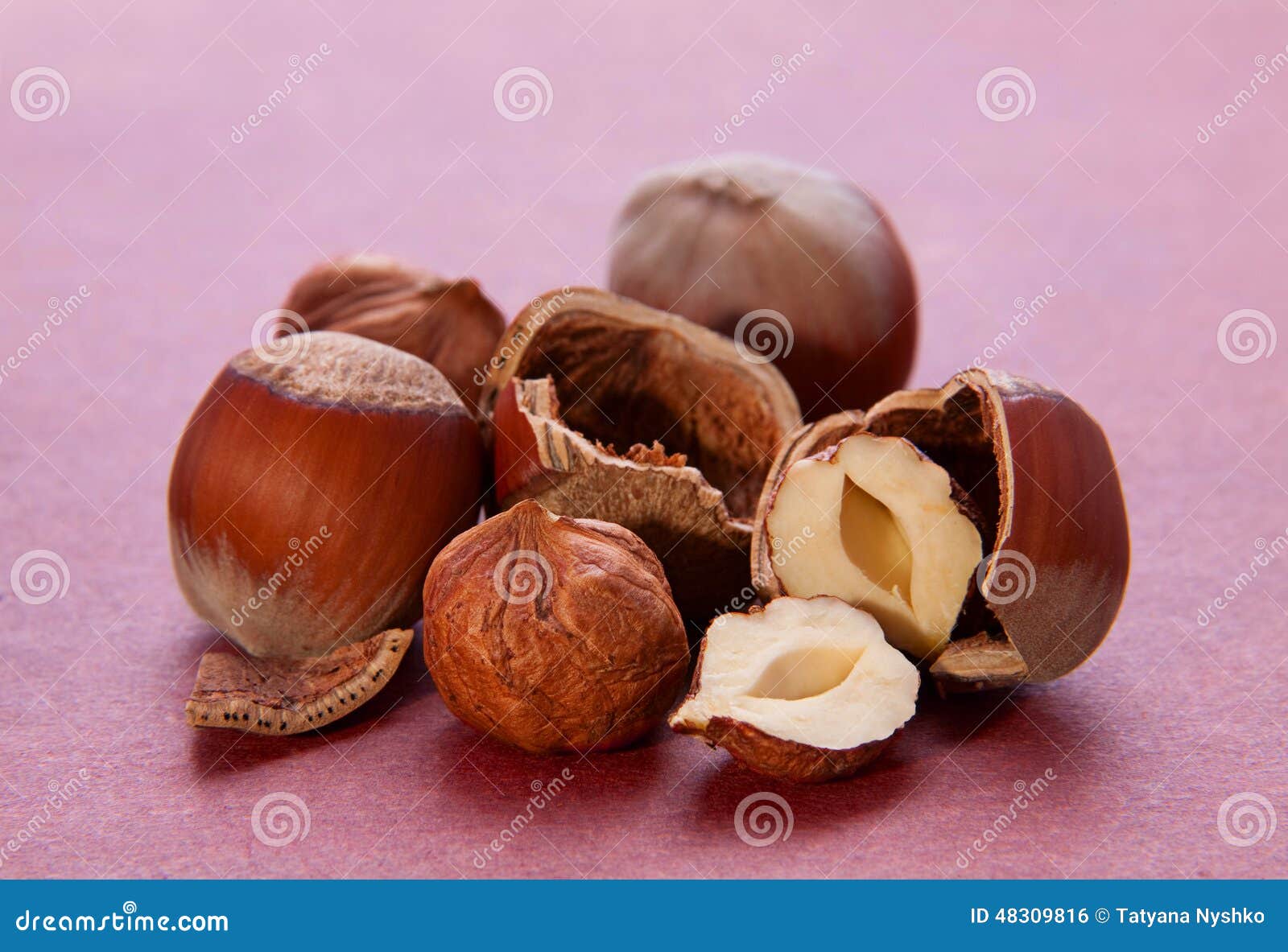 Hazelnut cracked stock photo. Image of nutshell, shell - 48309816