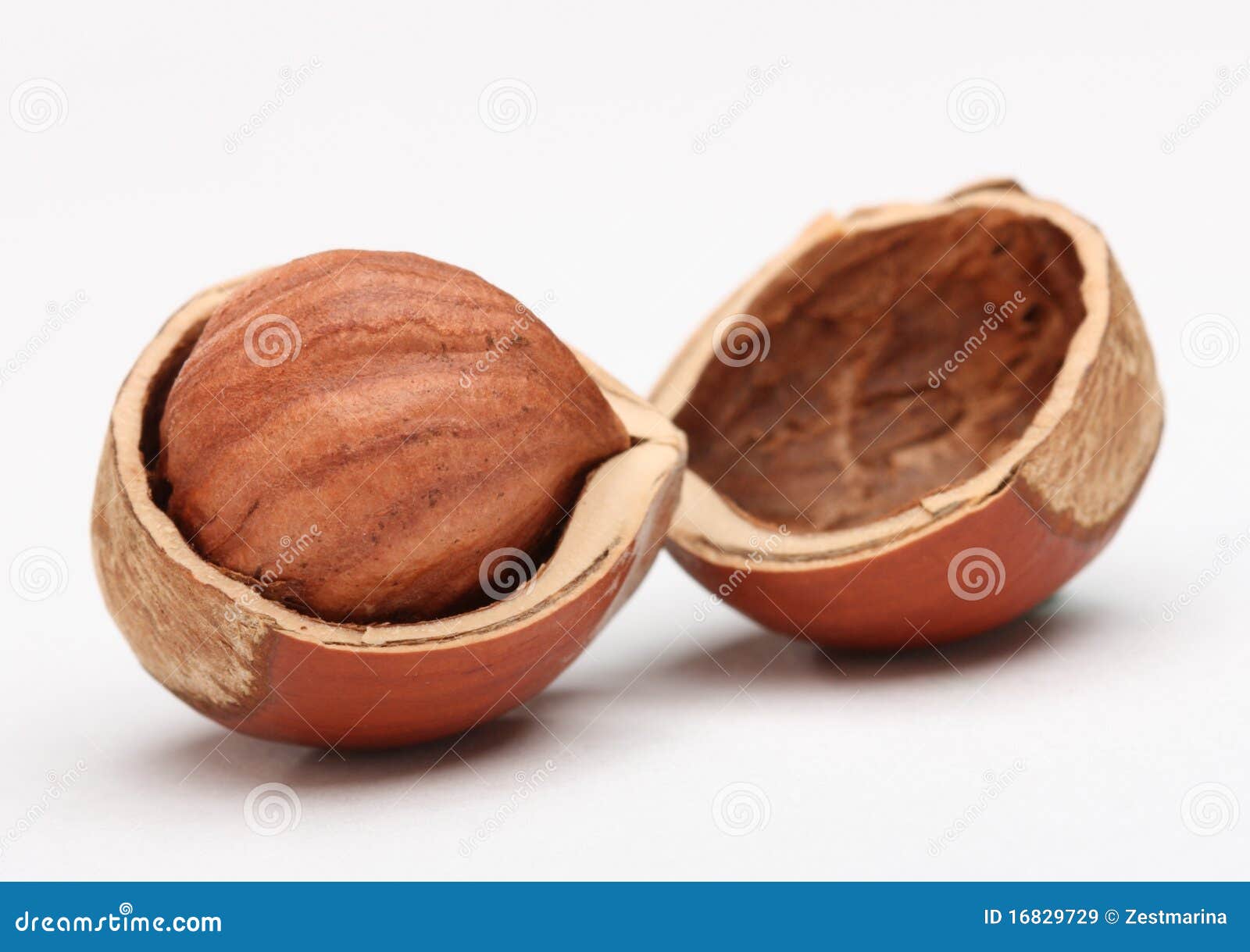 Hazelnut In Cracked Nutshell Stock Image - Image of kernel, appetizing ...