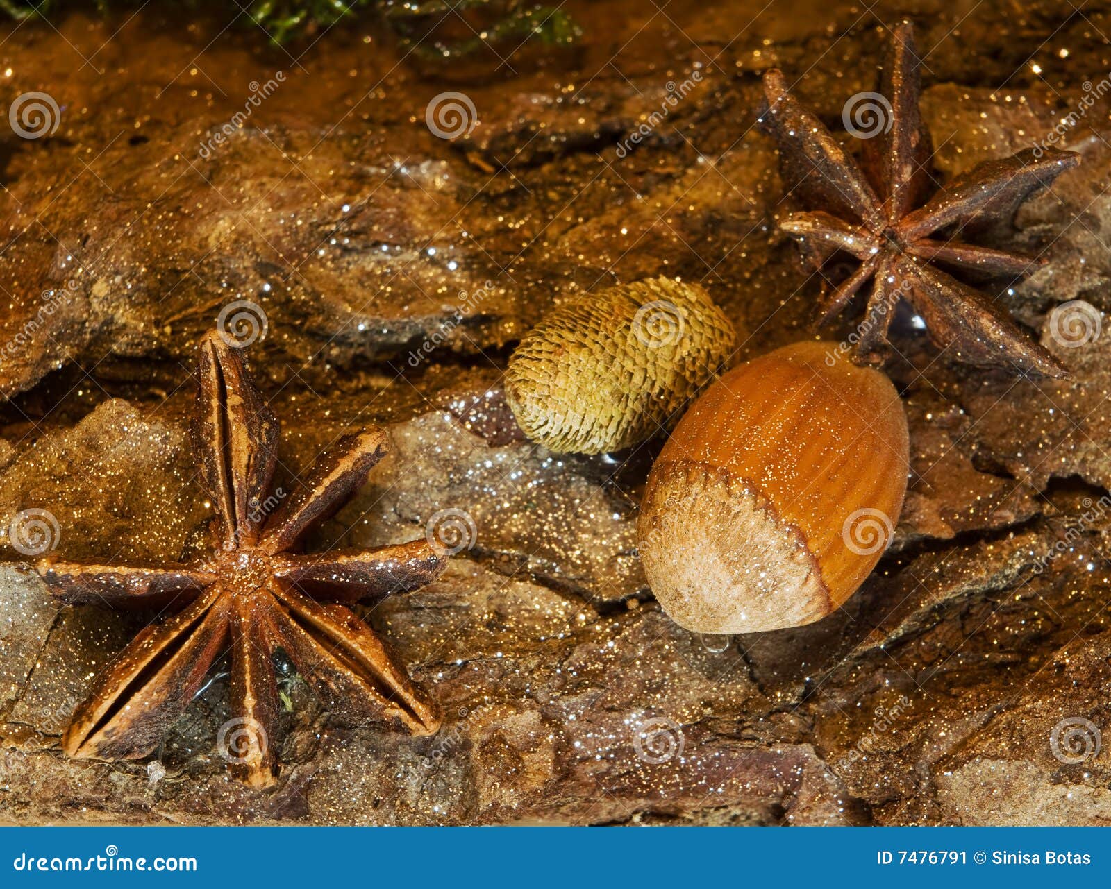 Hazelnut decoration stock image. Image of wooden, attire - 7476791