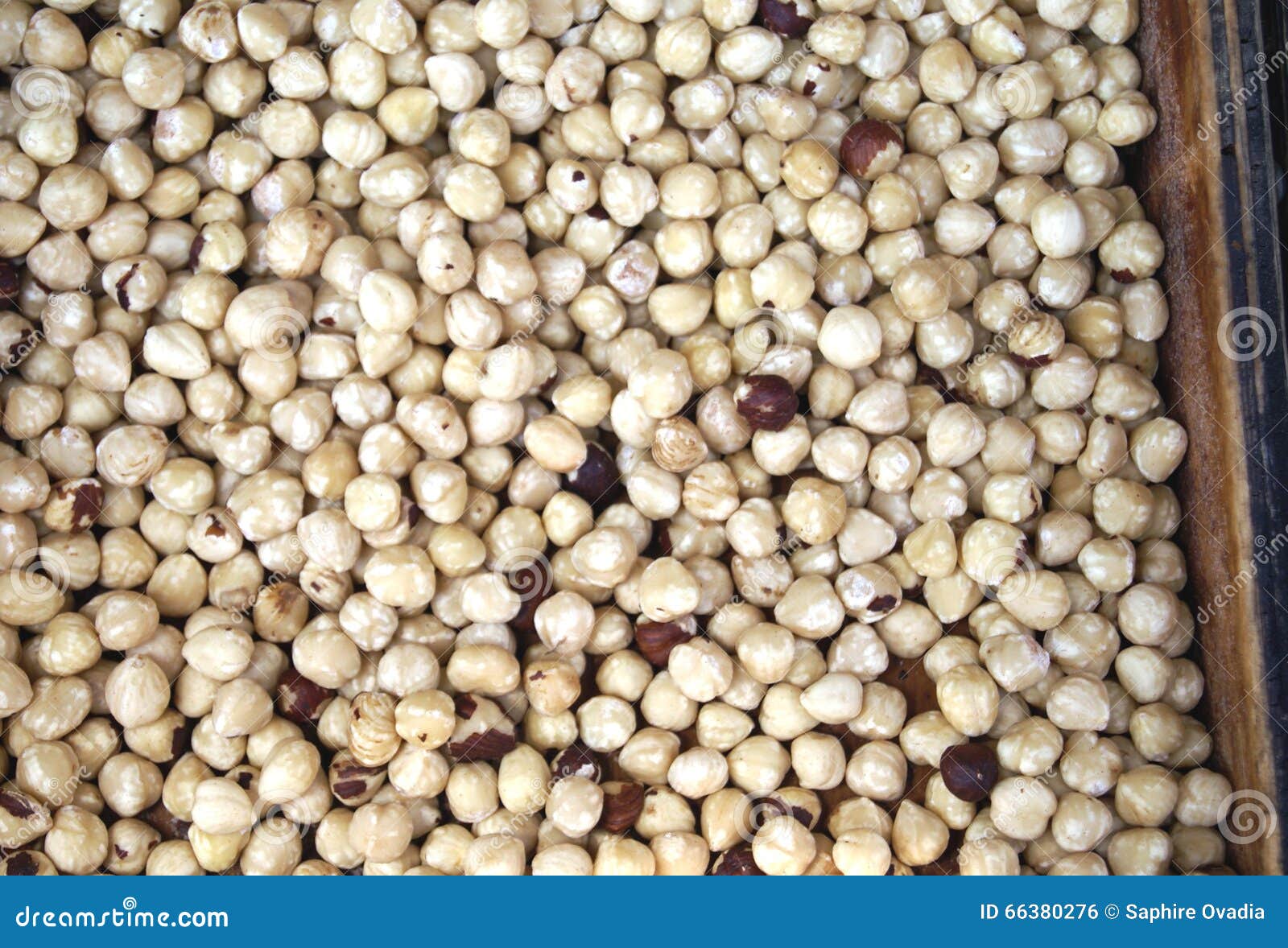 Hazelnut stock photo. Image of wooden, hazelnuts, healthy - 66380276