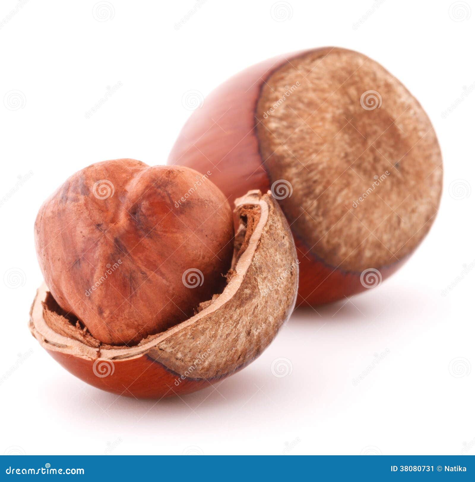 24,723 Nut Filbert Photos - Free & Royalty-Free Stock Photos from ...