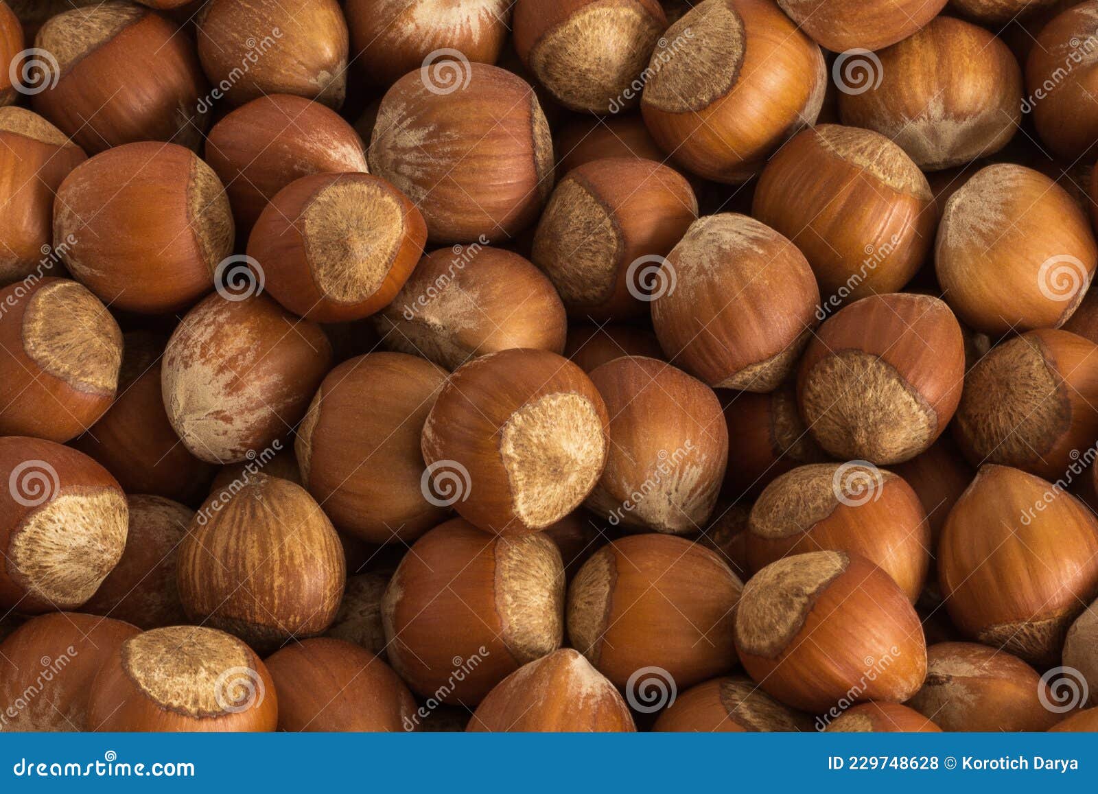 Raw Hazelnut. Food Hazelnut Texture Stock Photo | CartoonDealer.com ...