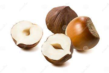 Hazelnut Group Perfect Half Isolated on White Background Stock Image ...