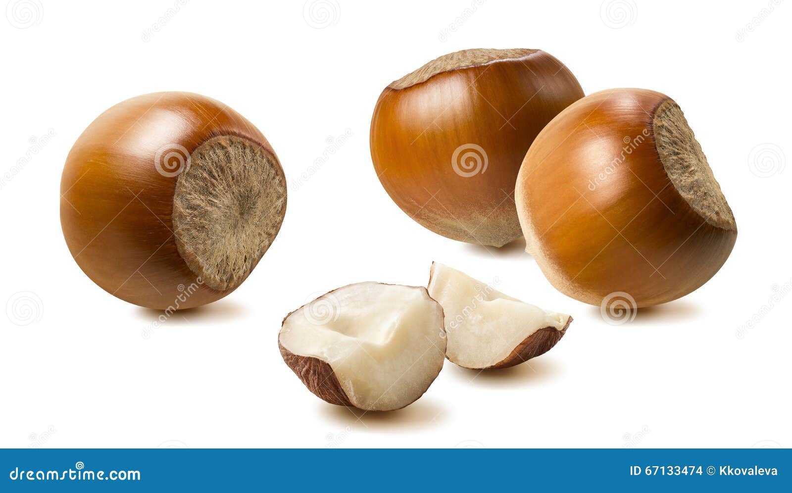 Hazelnut Group Pieces Isolated on White Background Stock Photo - Image ...