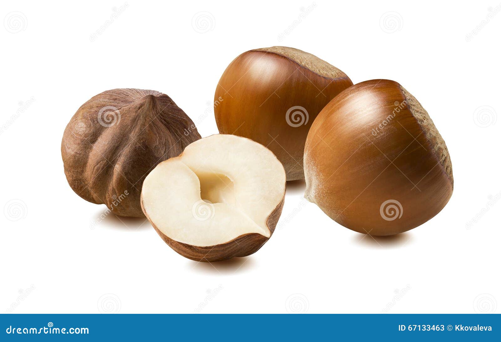 Hazelnut Group Whole Half Isolated on White Background Stock Image ...