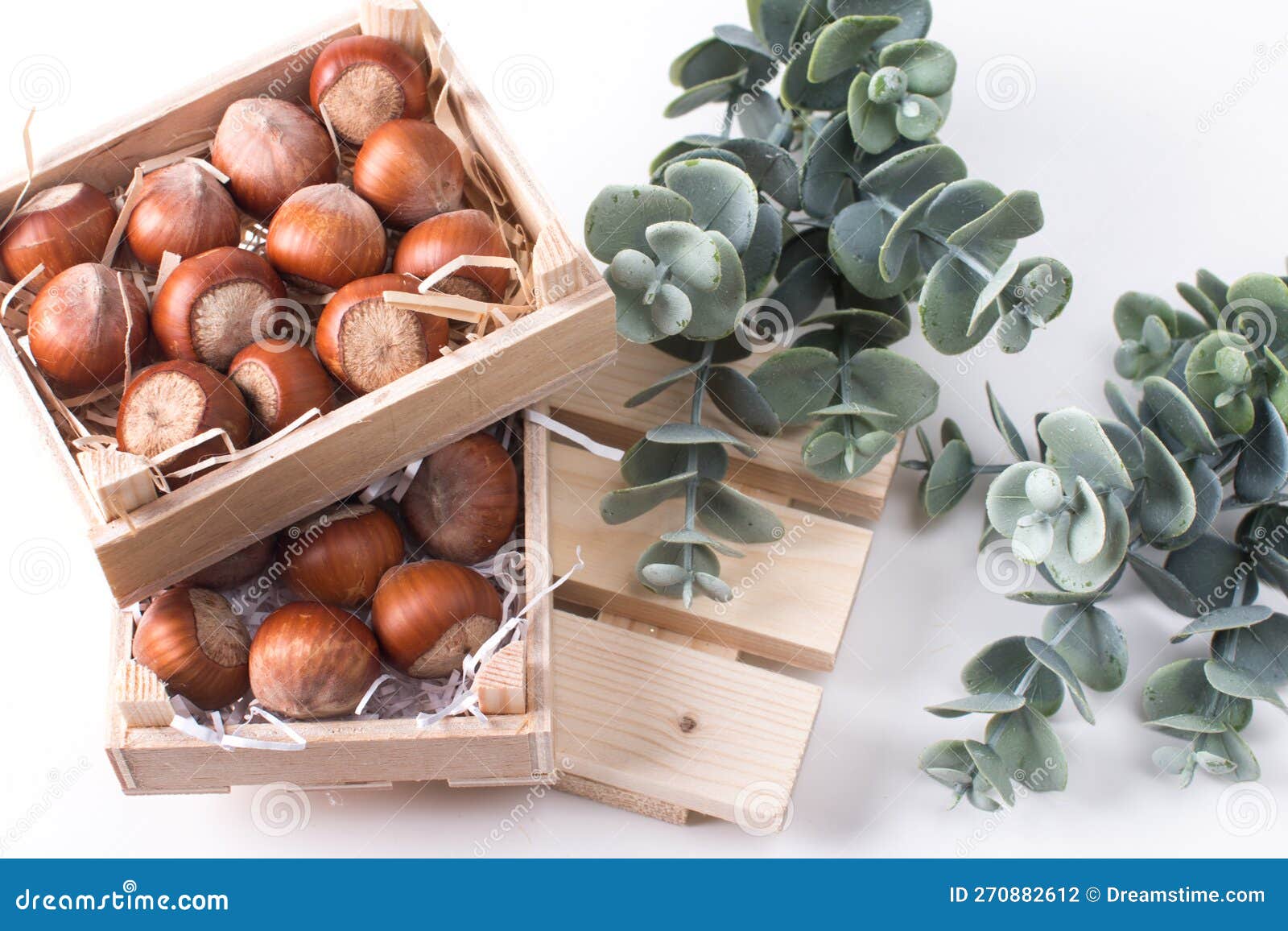 Hazelnut Hazelnuts Lie in Wooden Boxes with a Sprig of Eucalyptus ...