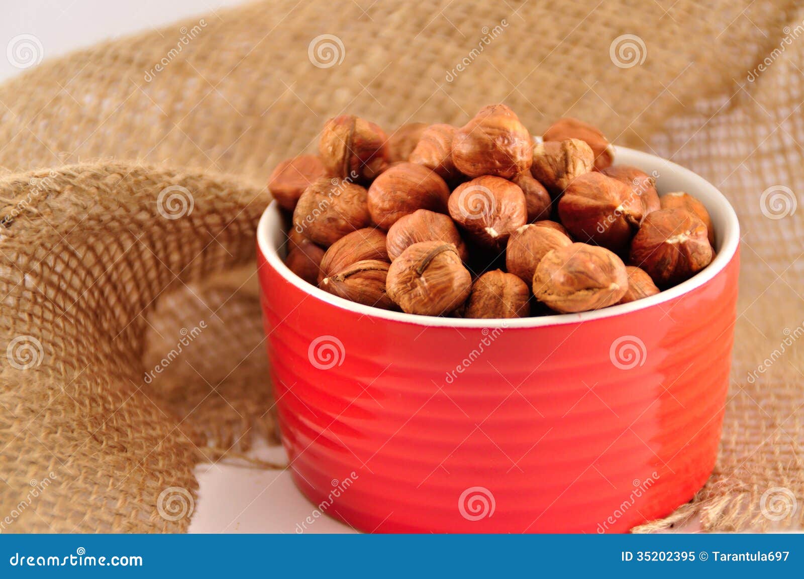 Hazelnut stock image. Image of brown, health, nature - 35202395