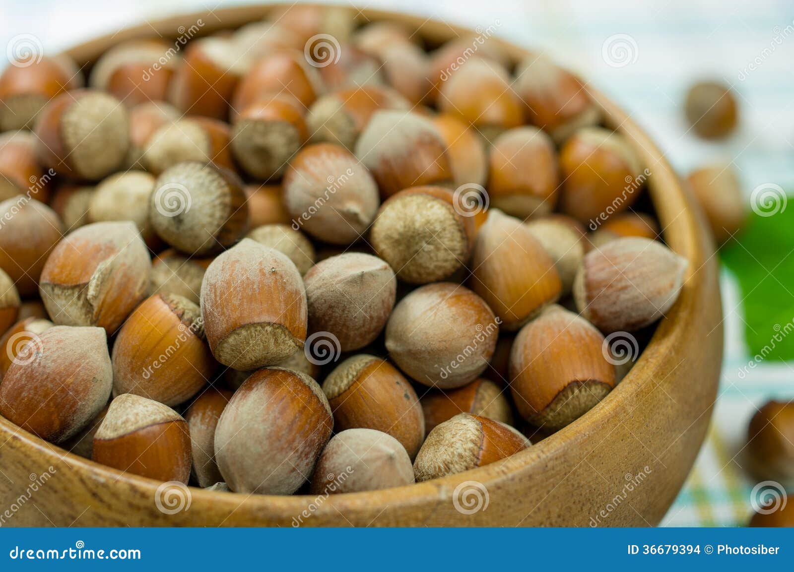 Hazelnut stock photo. Image of ingredient, group, hazelnut - 36679394