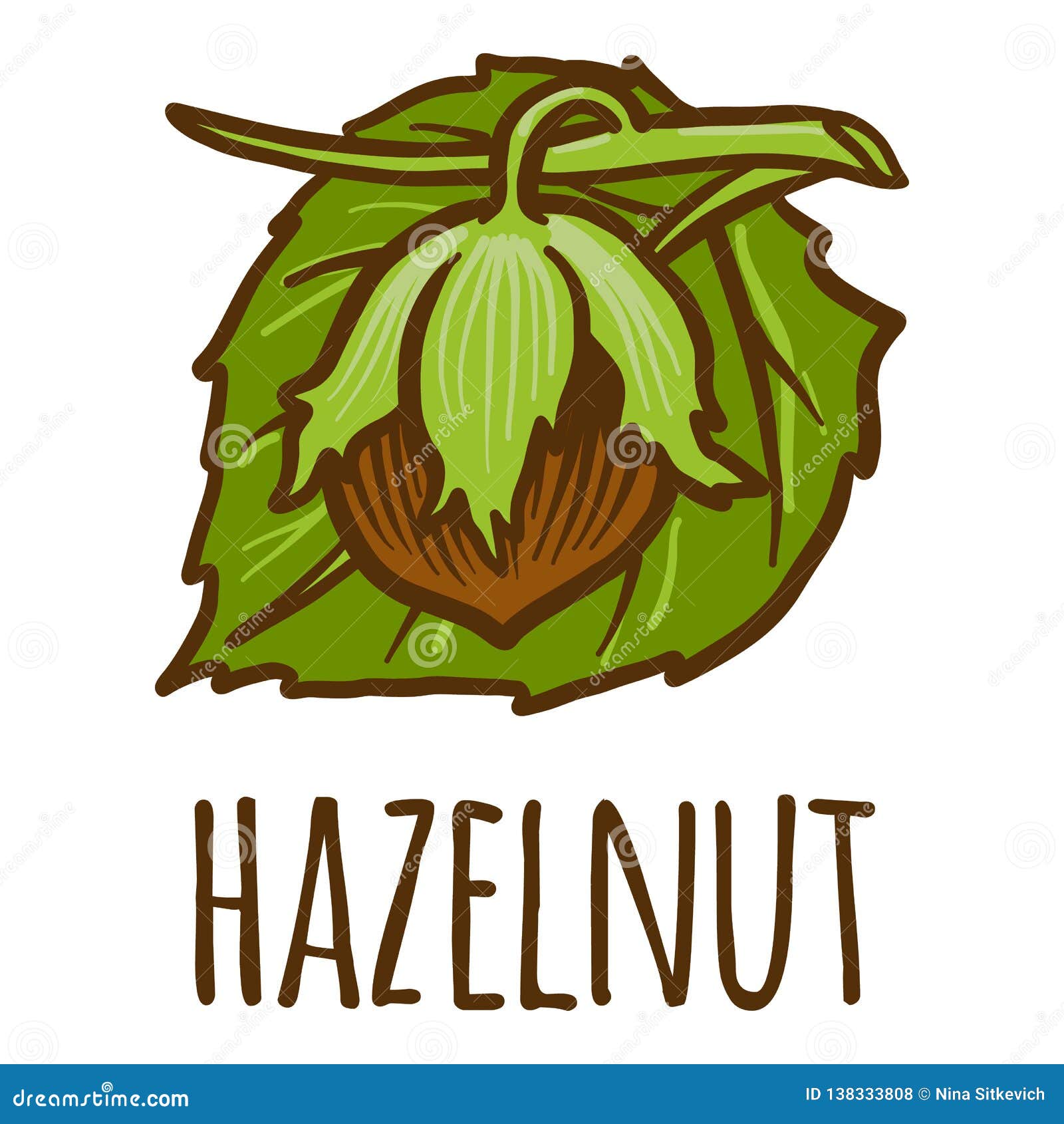 Hazelnut Icon, Hand Drawn Style Stock Vector - Illustration of healthy ...