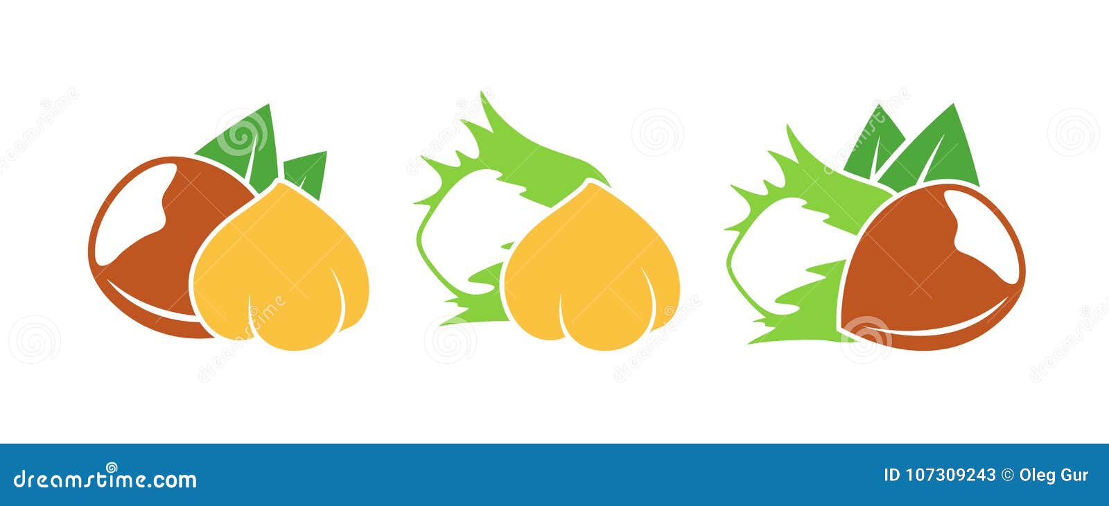 Hazelnut icon set. Logo stock vector. Illustration of cobnut - 107309243