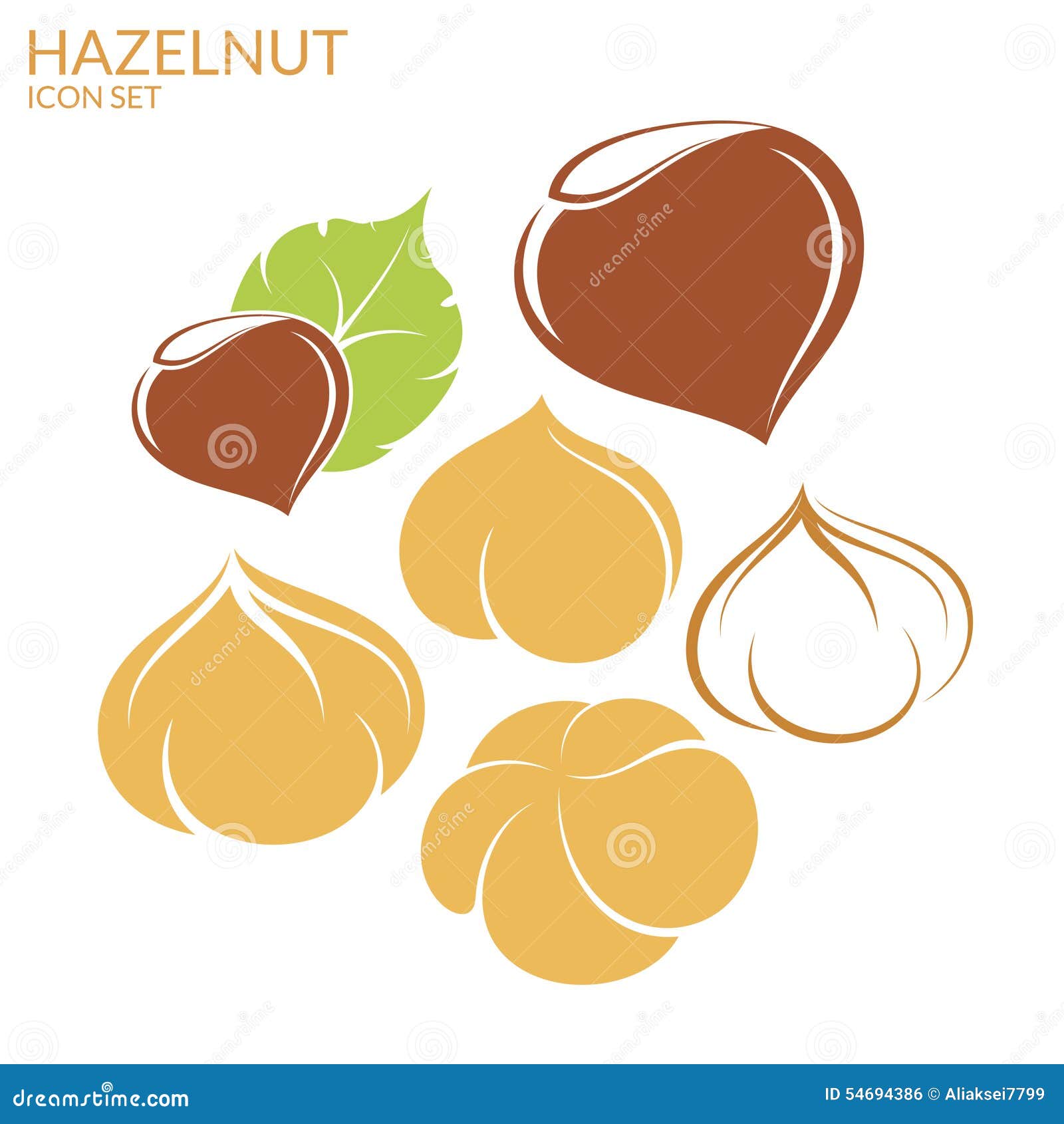 Hazelnut Icon Vector Logo Outline | CartoonDealer.com #334047533