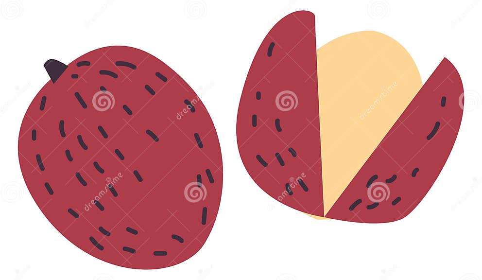 Hazelnut Icon. Shell Nut in Hand Drawn Style Stock Vector ...