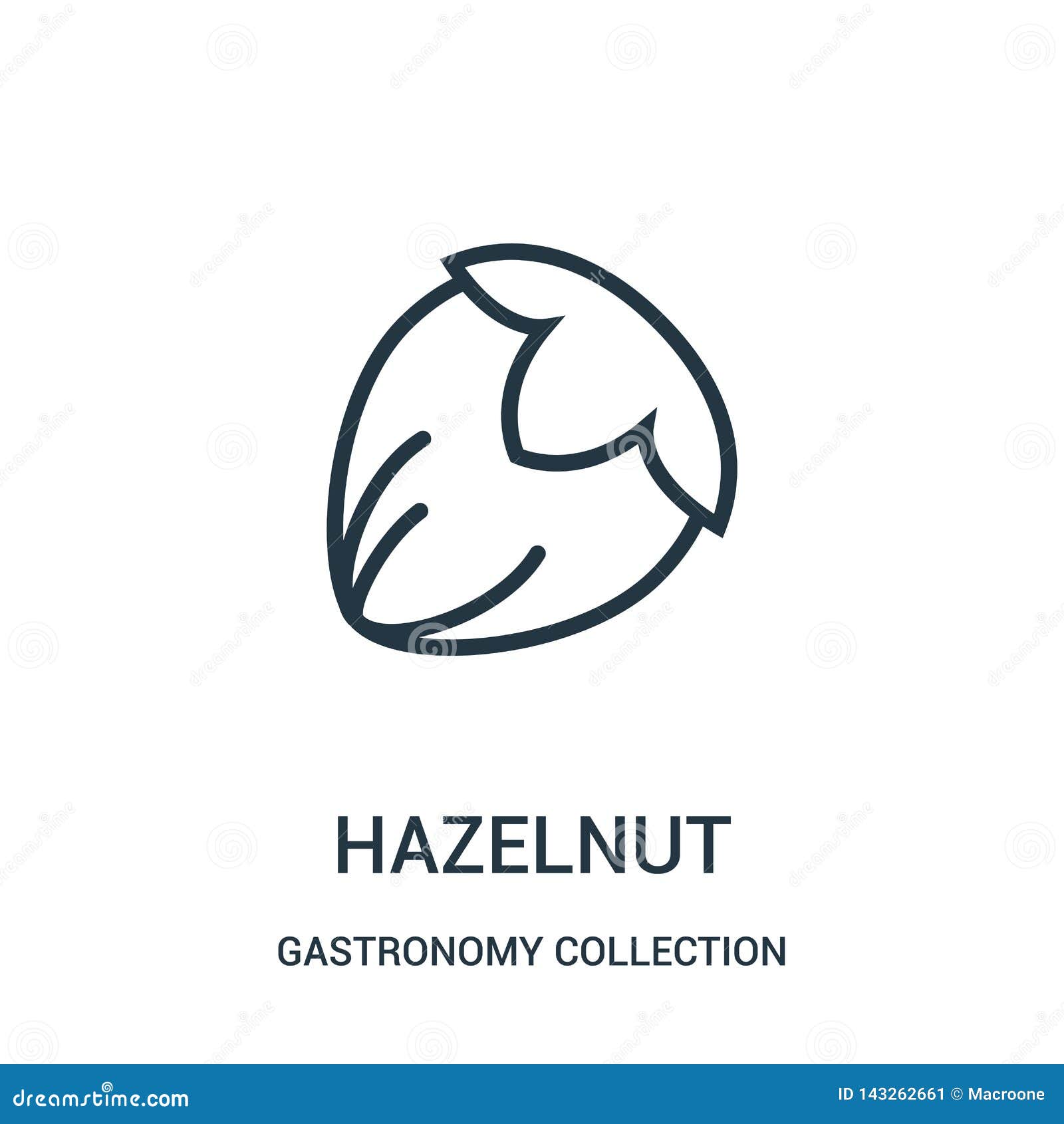Hazelnut Icon Vector from Gastronomy Collection Collection. Thin Line ...